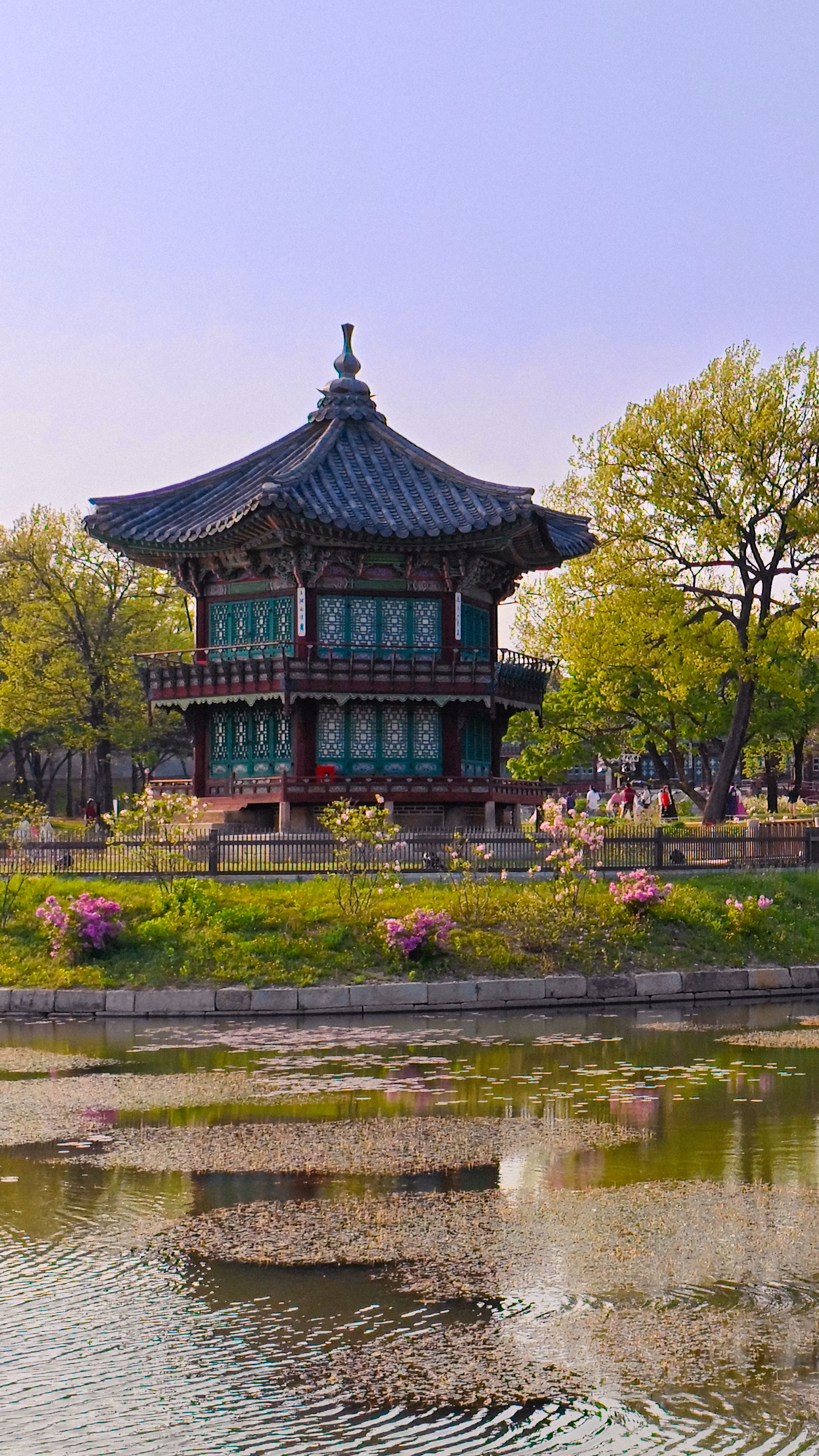 Korean Pavilion by the Water in Springtime · Free Stock Photo