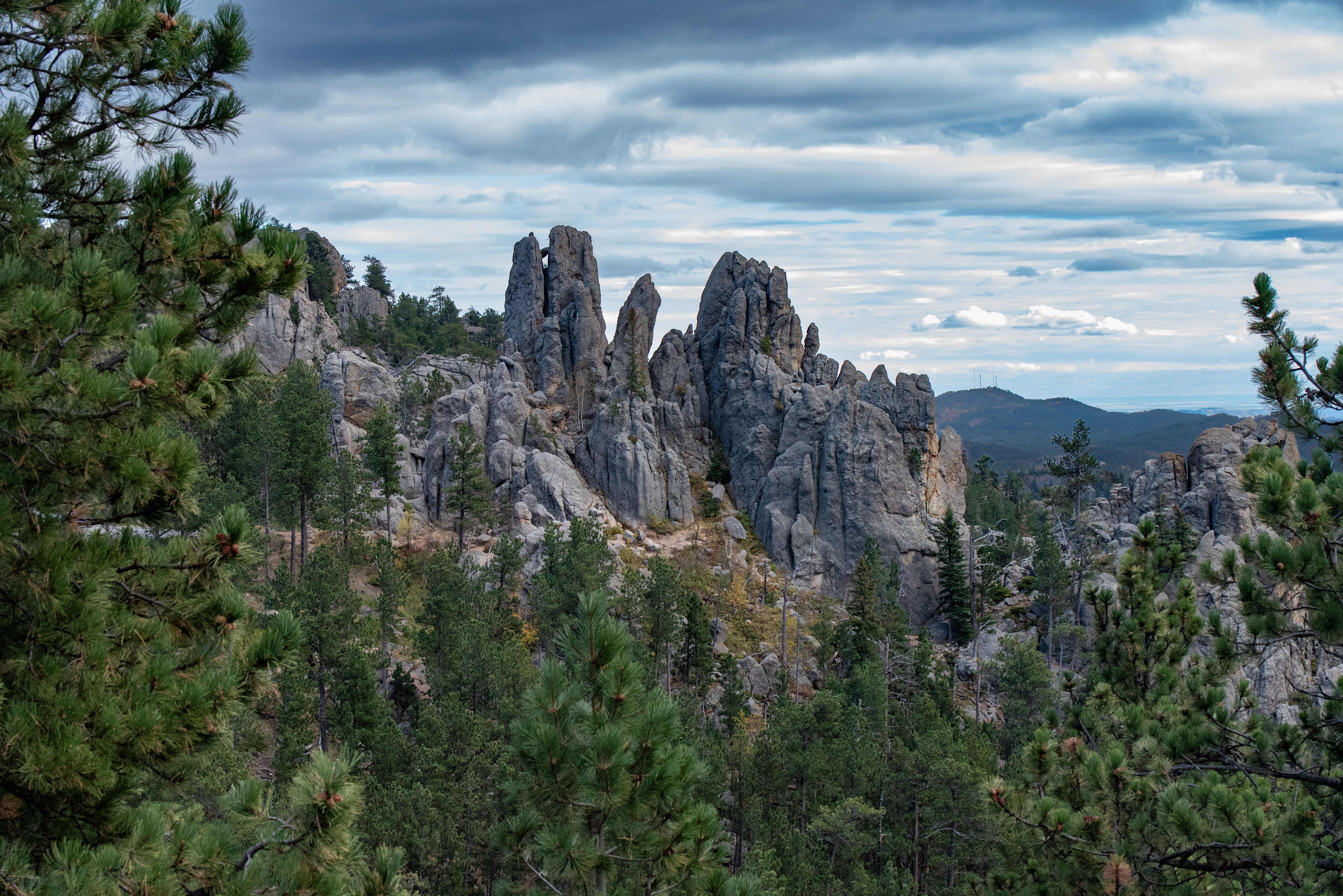 Scenic Needle Rock Formations in Hill City, SD · Free Stock Photo