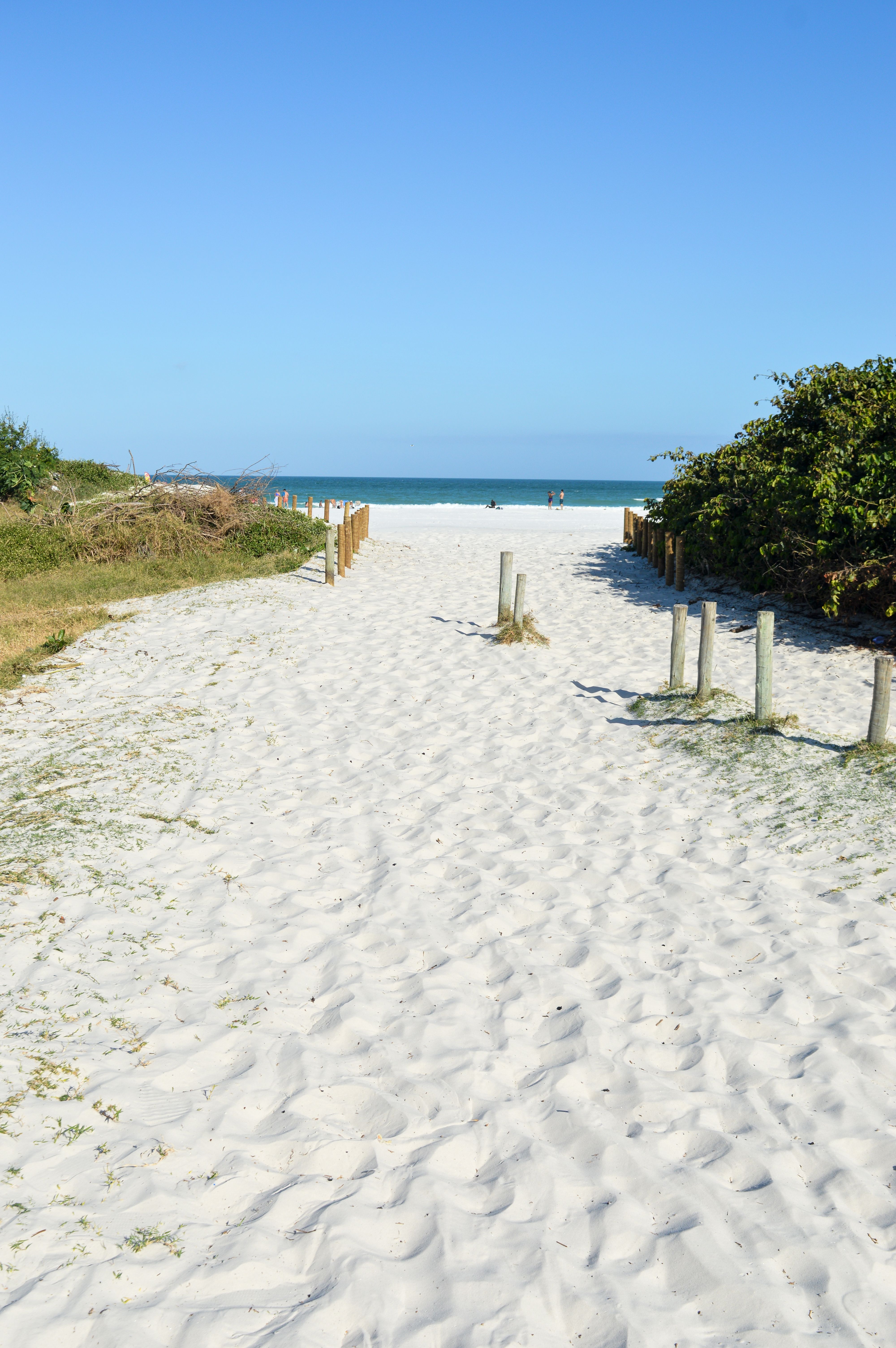 Um Dia Passando Na Praia · Foto profissional gratuita