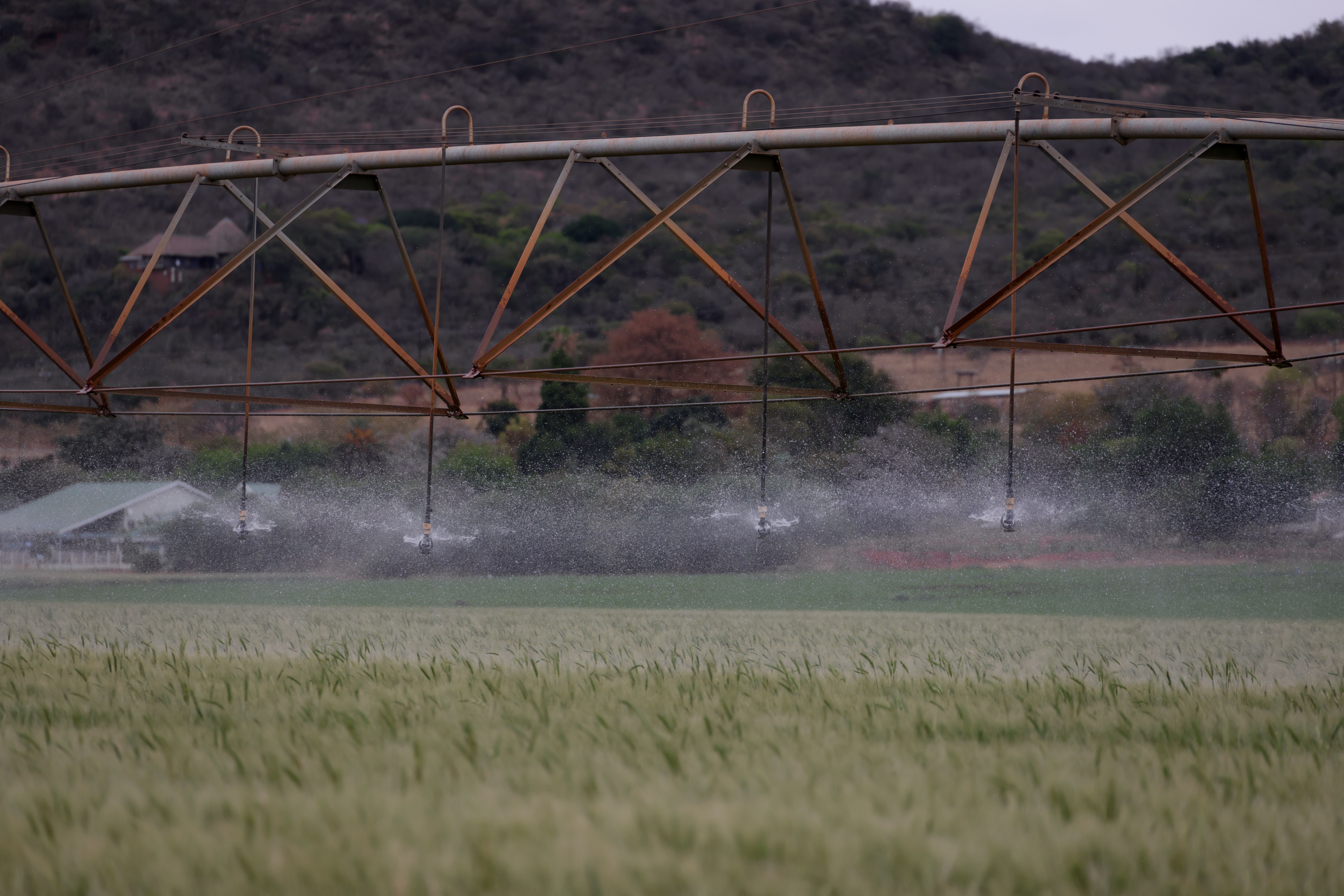 Irrigation Photos, Download The BEST Free Irrigation Stock Photos & HD ...