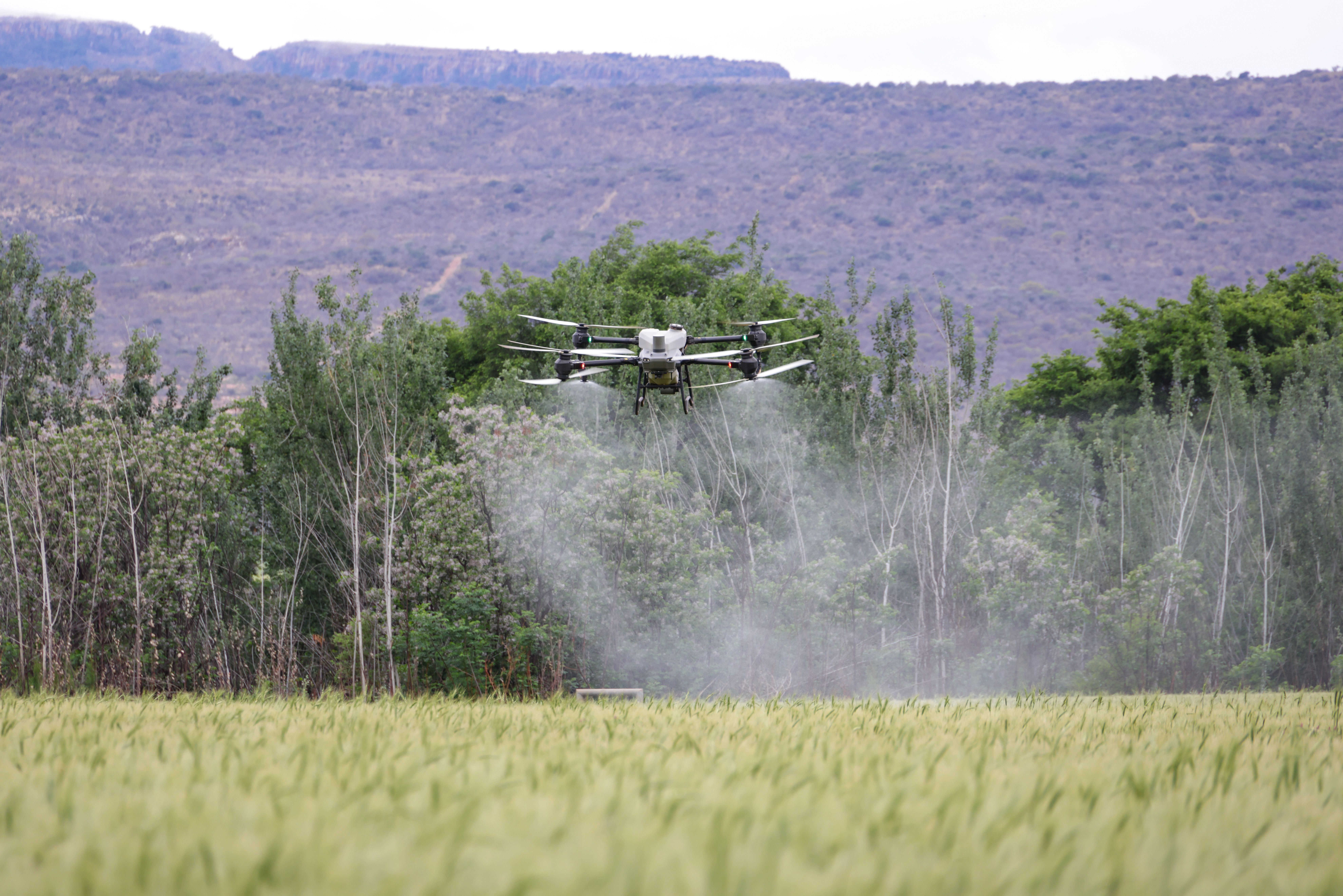 Drones In Pesticide Spraying Photos, Download The BEST Free Drones In ...