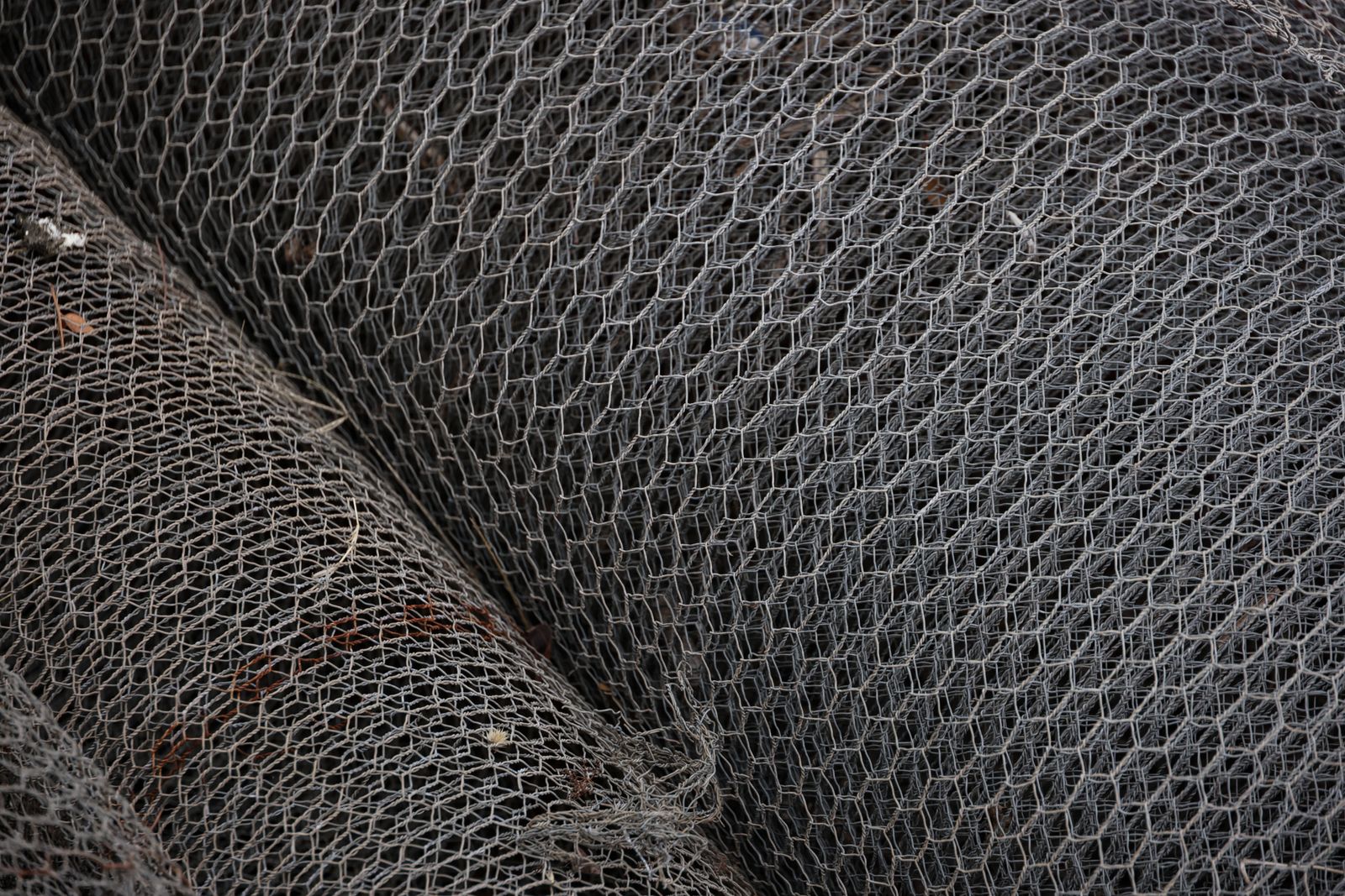 Mesh Topology Photos, Download The BEST Free Mesh Topology Stock Photos ...
