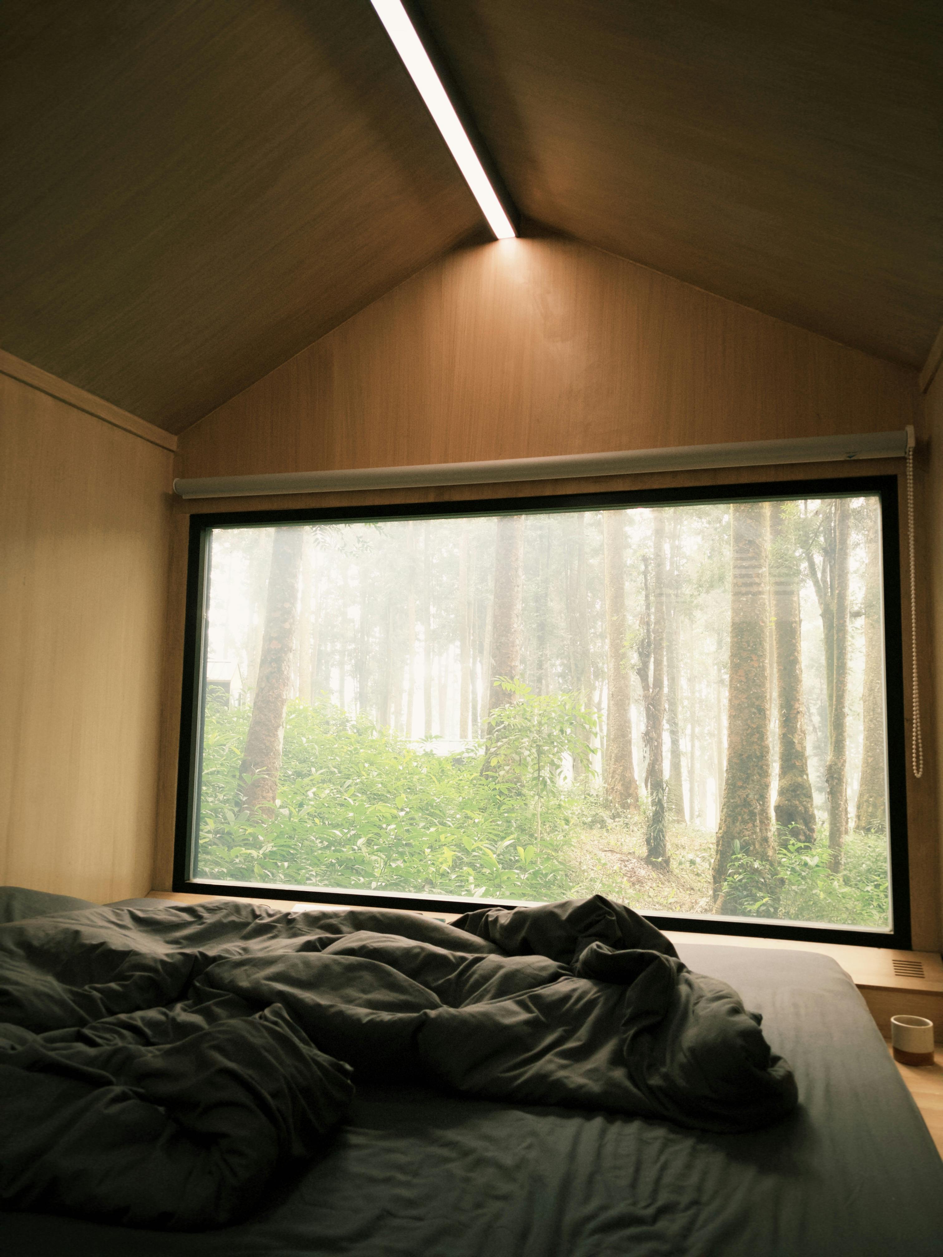 Xgroovy+Pictures Photos, Download The BEST Free Xgroovy+Pictures Stock ...