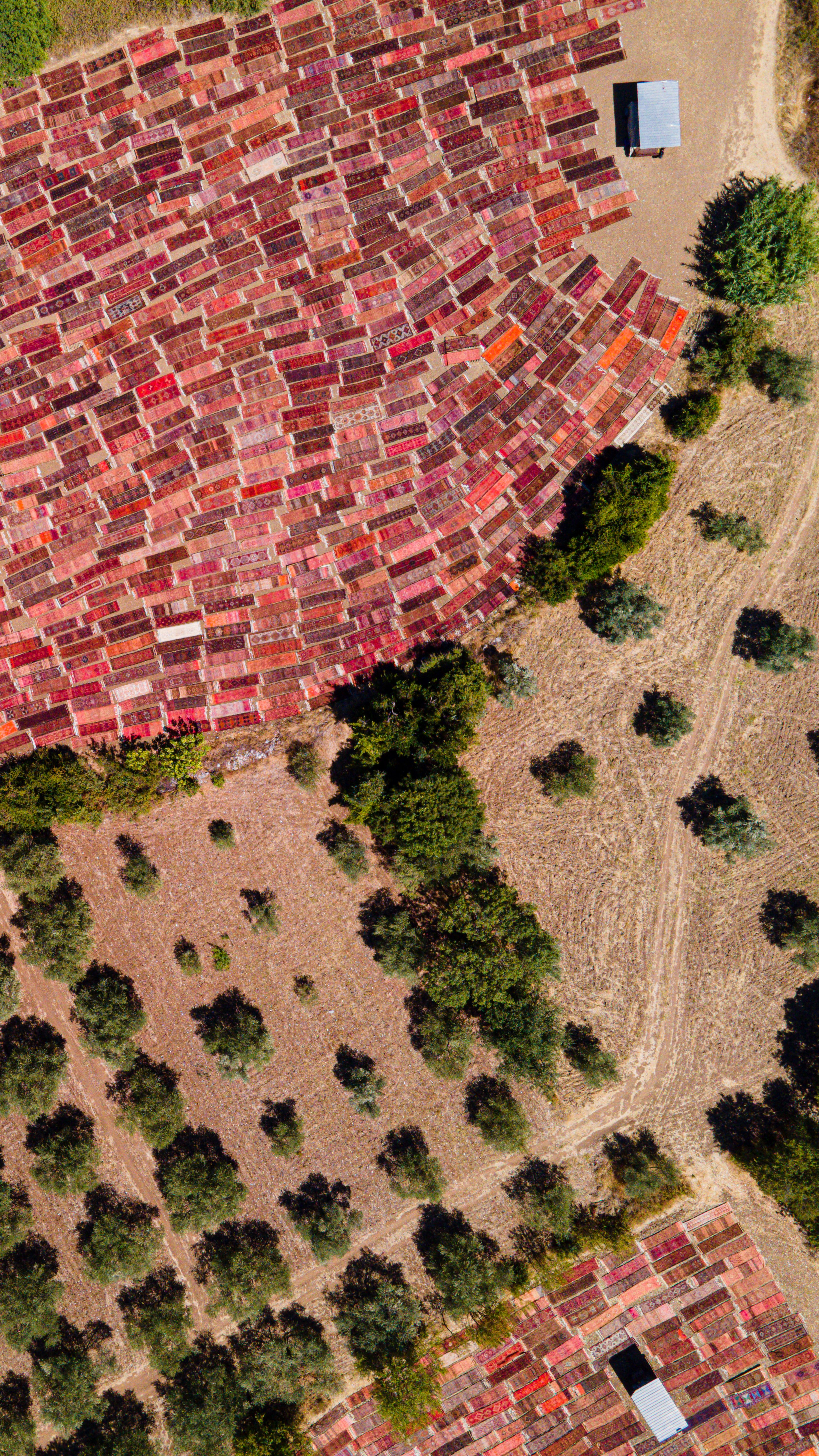 Aerial View of Rustic Red Tile Rooftop Patterns · Free Stock Photo