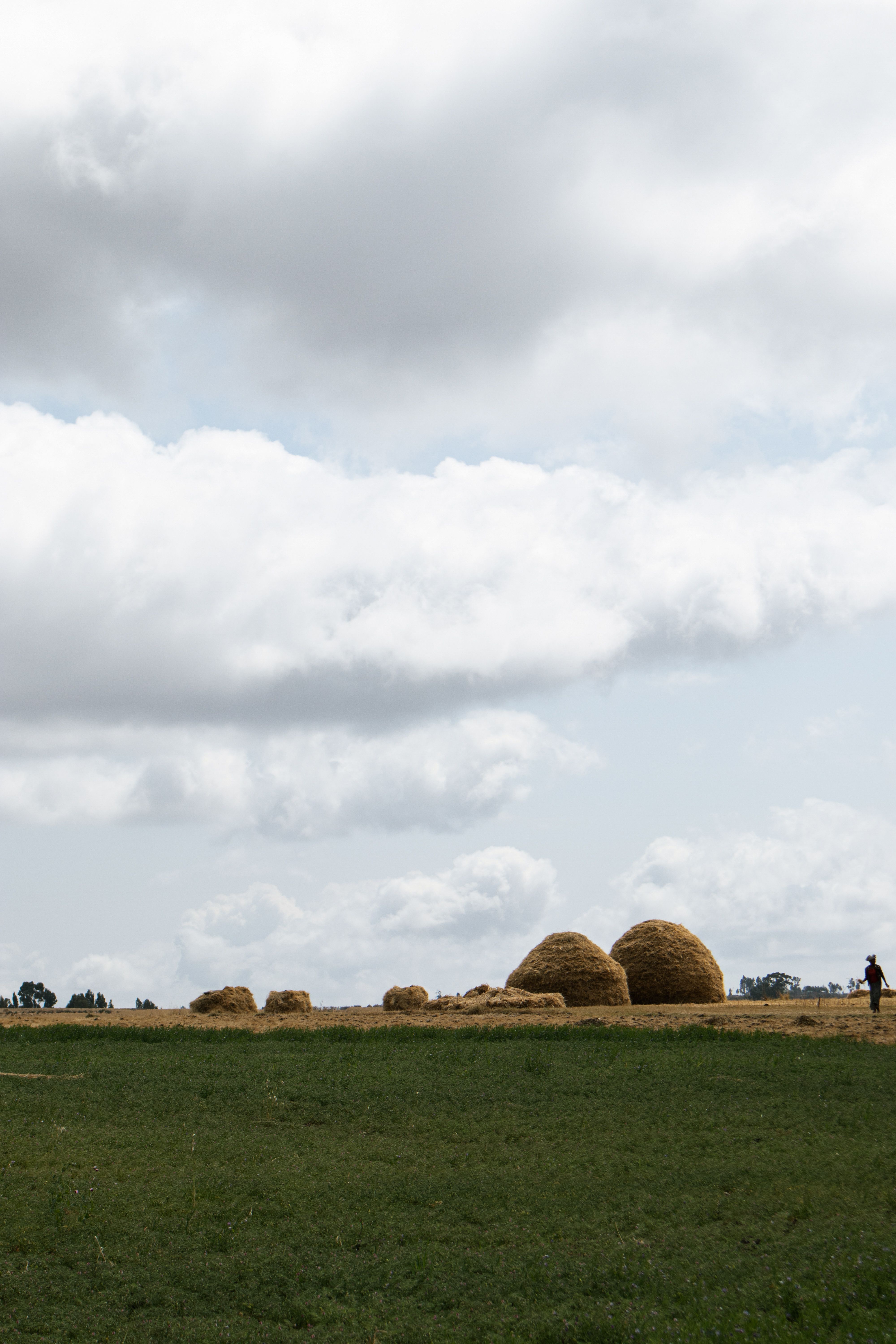 Tedding Hay Photos, Download The BEST Free Tedding Hay Stock Photos ...