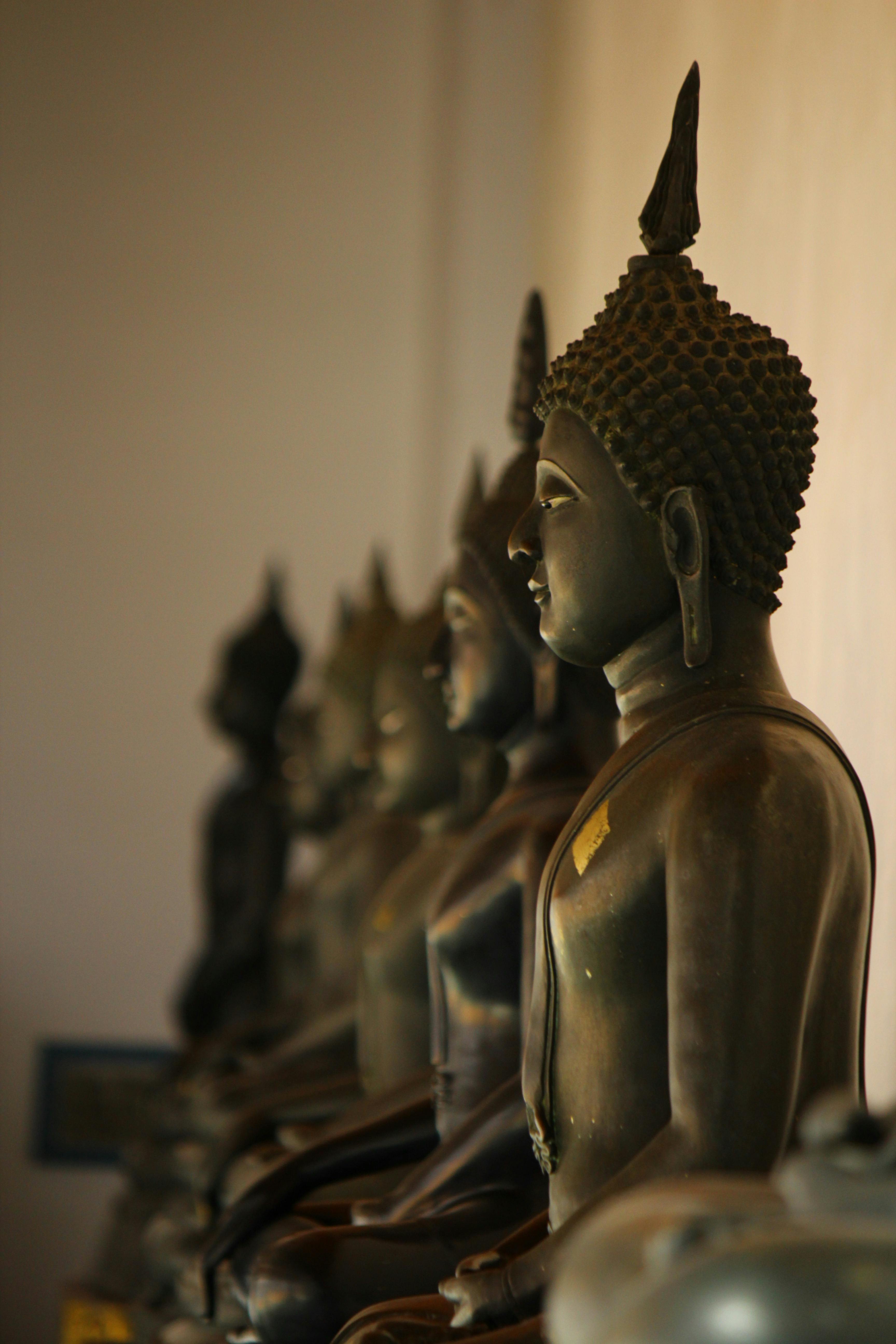 Alignment Photos, Download The BEST Free Alignment Stock Photos & HD Images