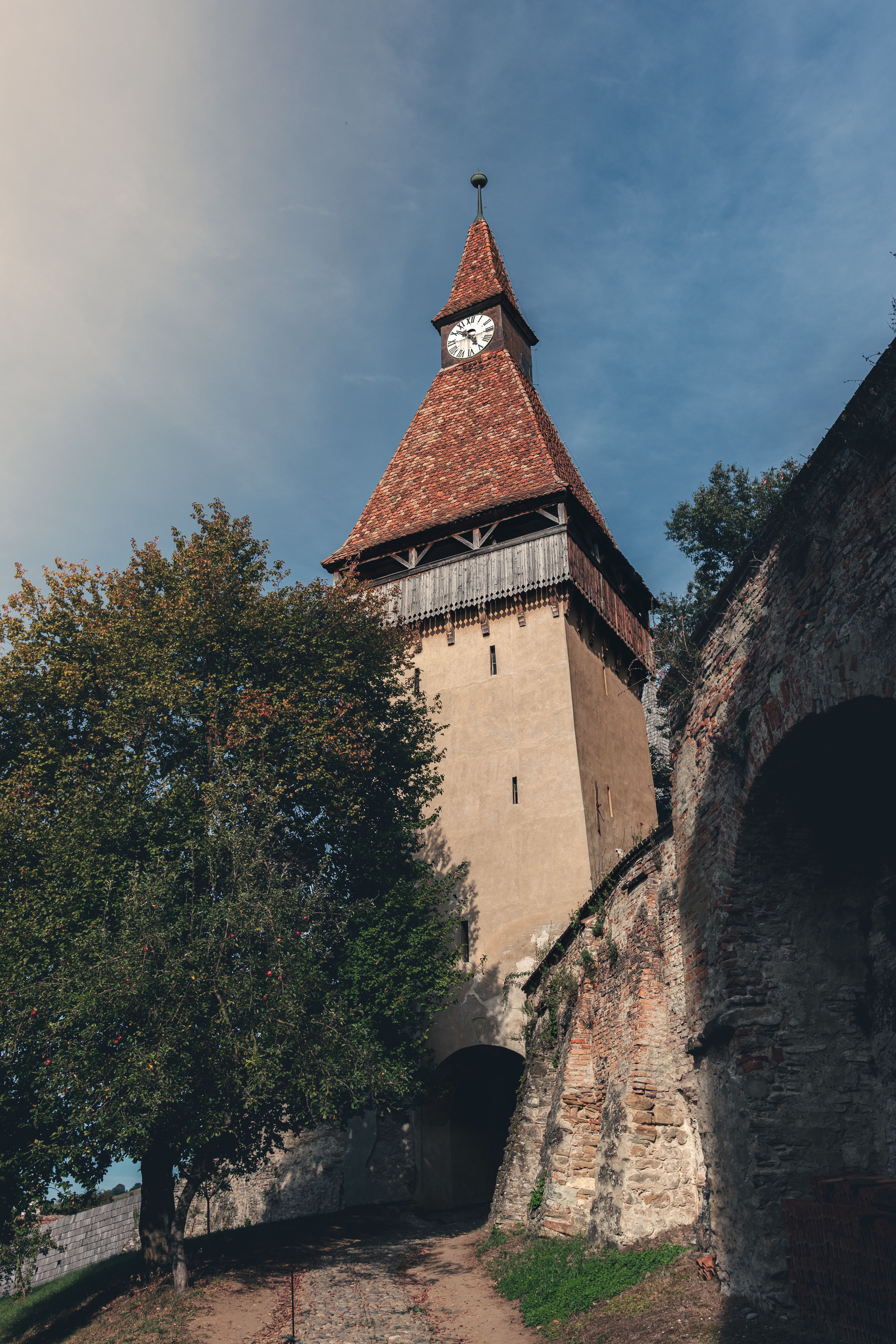 Overgrown Medieval Watchtower · Free Stock Photo