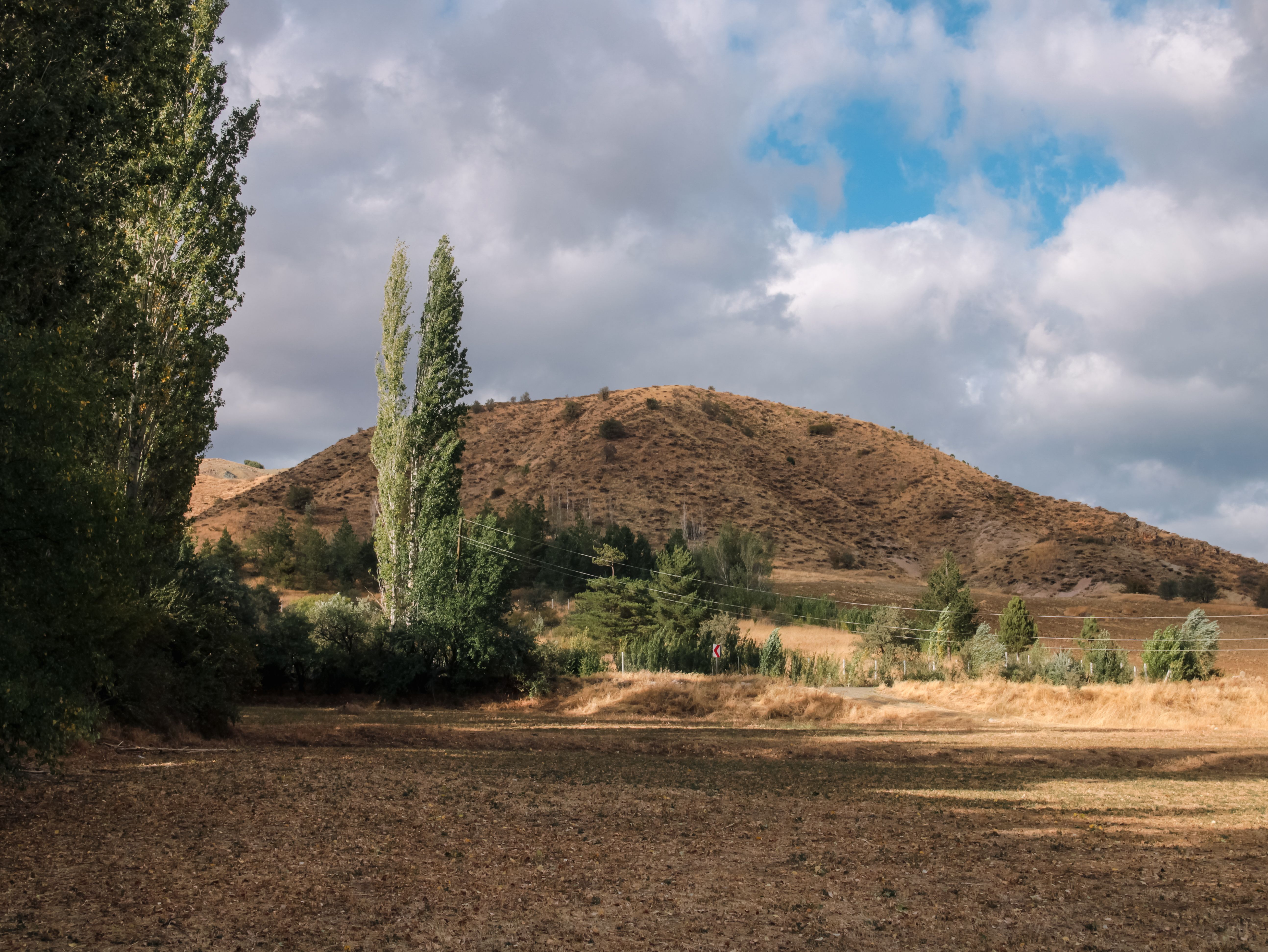 Idyllic Hillside Landscape with Lush Greenery · Free Stock Photo