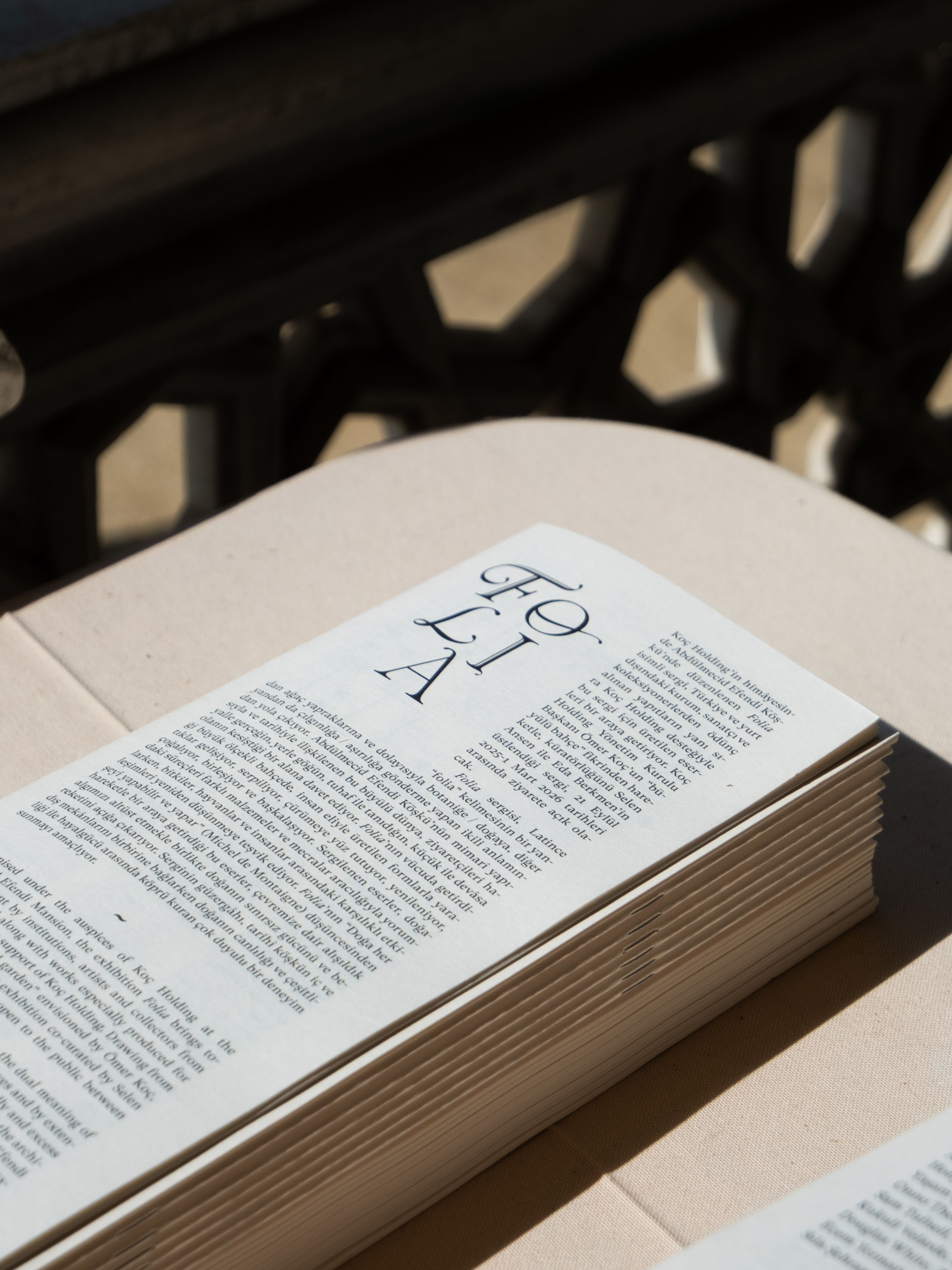 Closeup of a Minimalist Book Page in Sunlight · Free Stock Photo