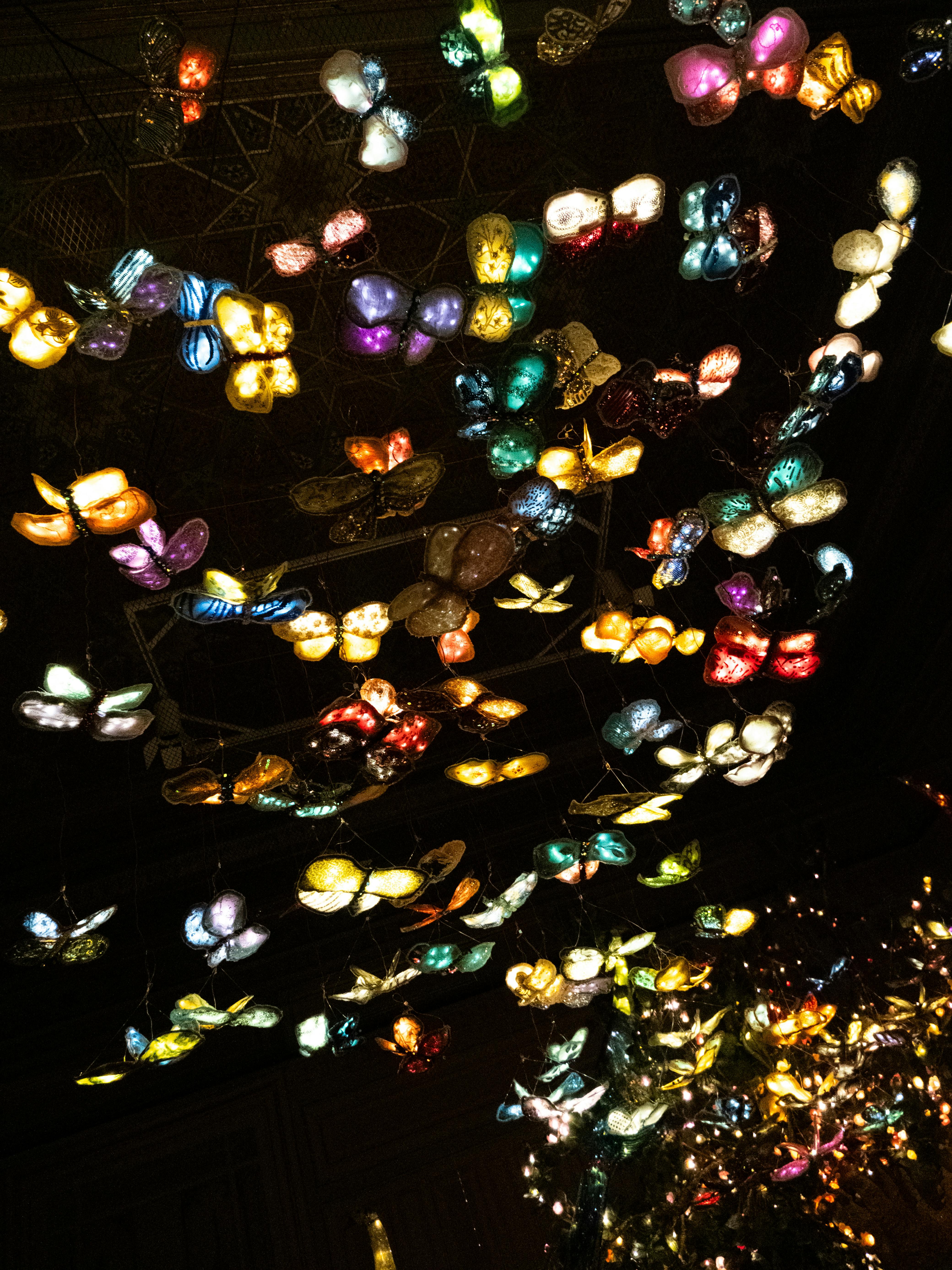 Colorful Illuminated Butterfly Installation Art · Free Stock Photo