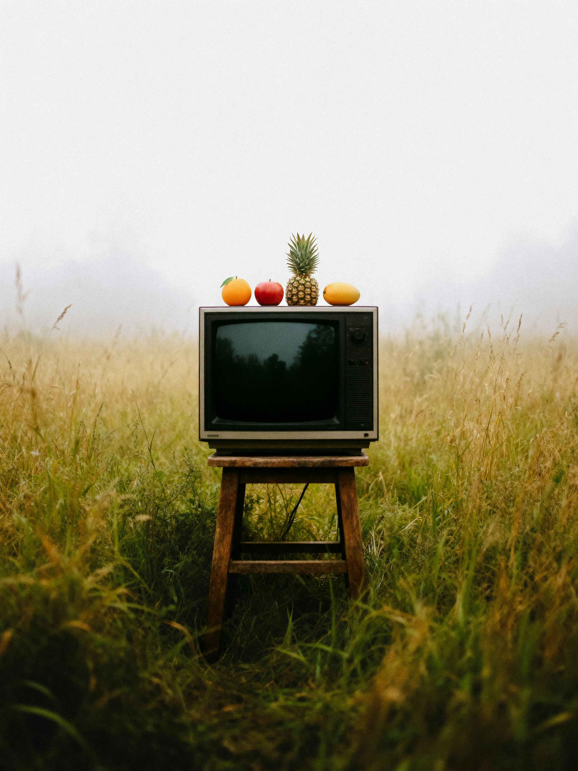 Citrus Fruit Photos, Download The BEST Free Citrus Fruit Stock Photos ...