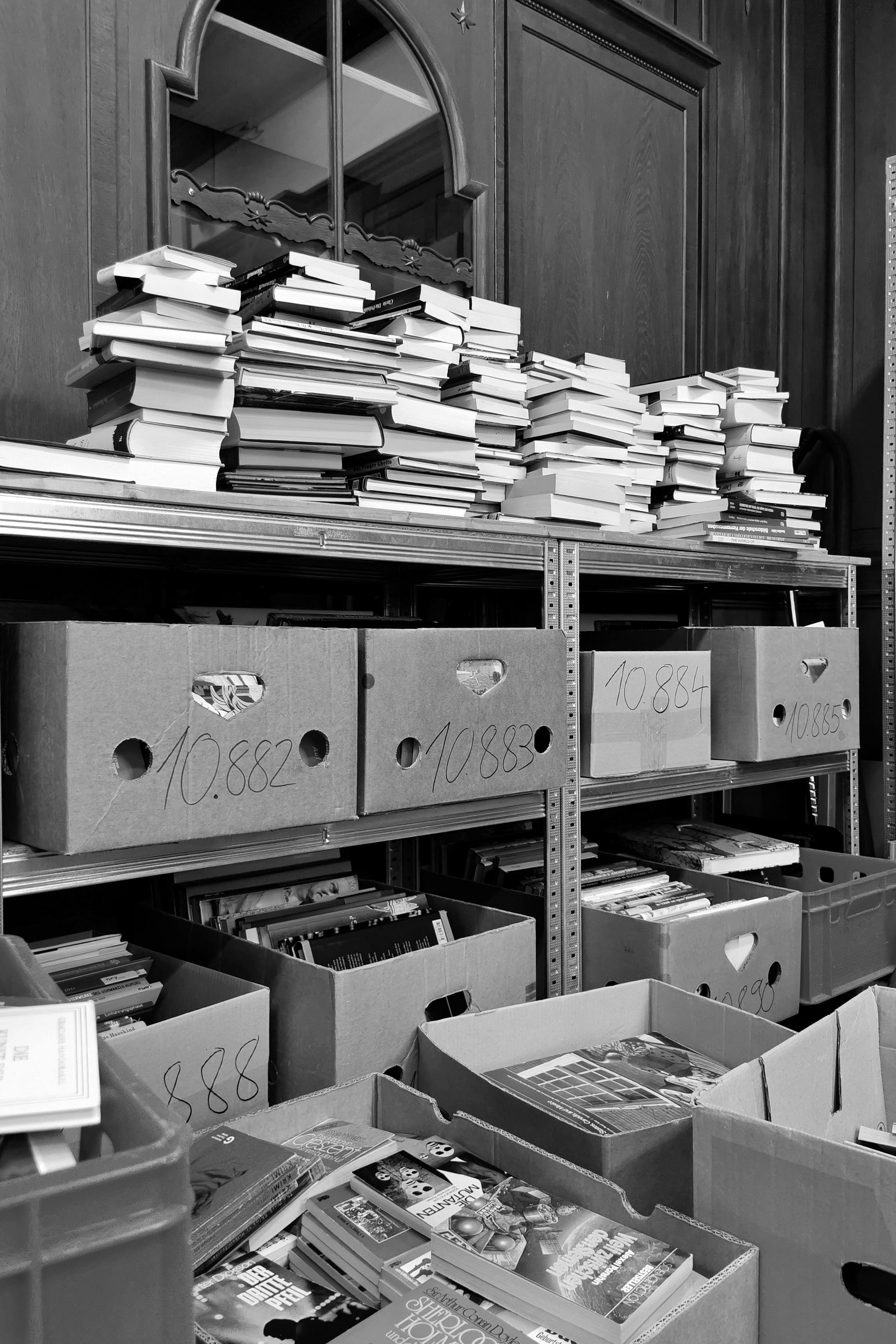 Organizing Photos, Download The BEST Free Organizing Stock Photos & HD ...