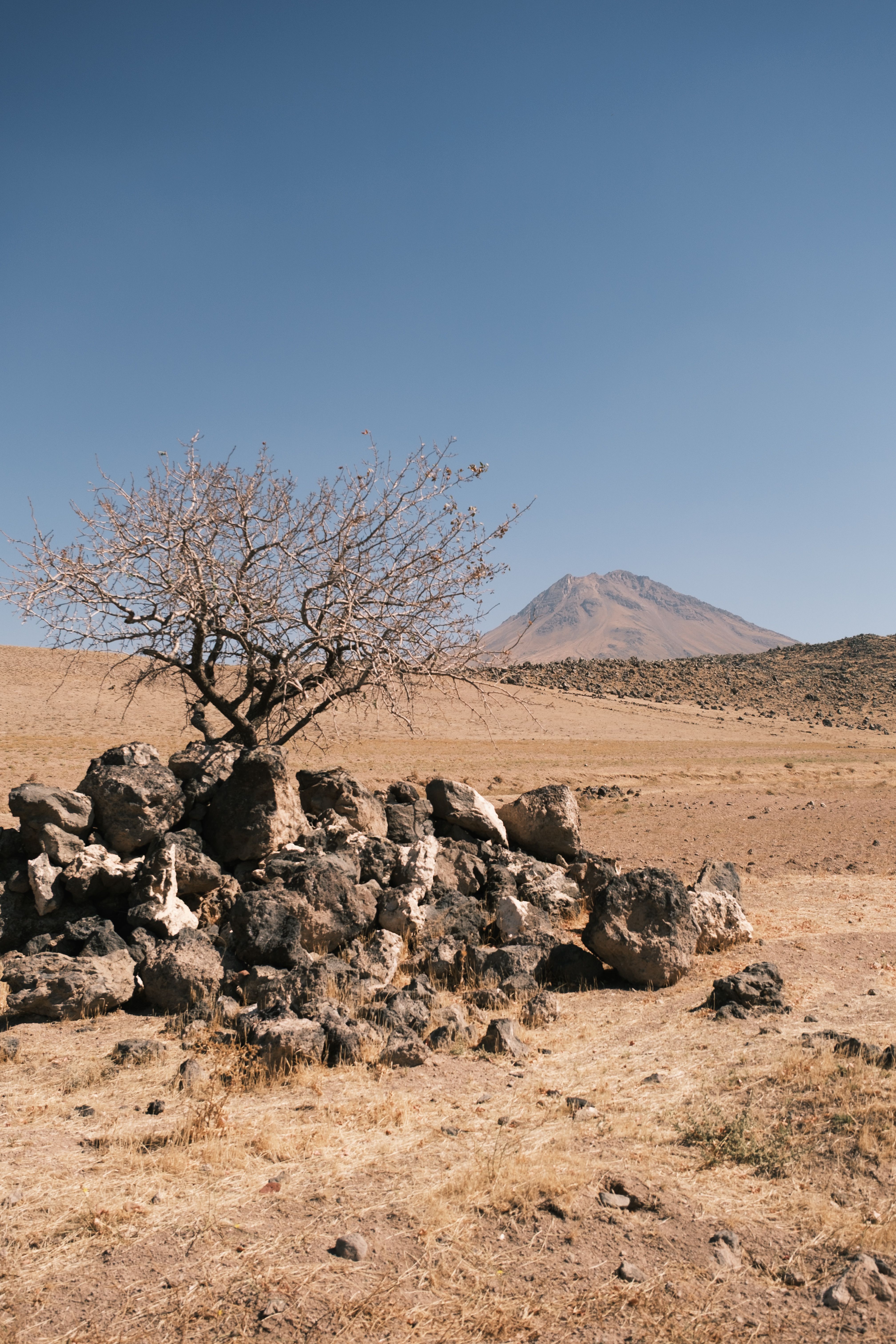 Ground Horizon Photos, Download The BEST Free Ground Horizon Stock ...