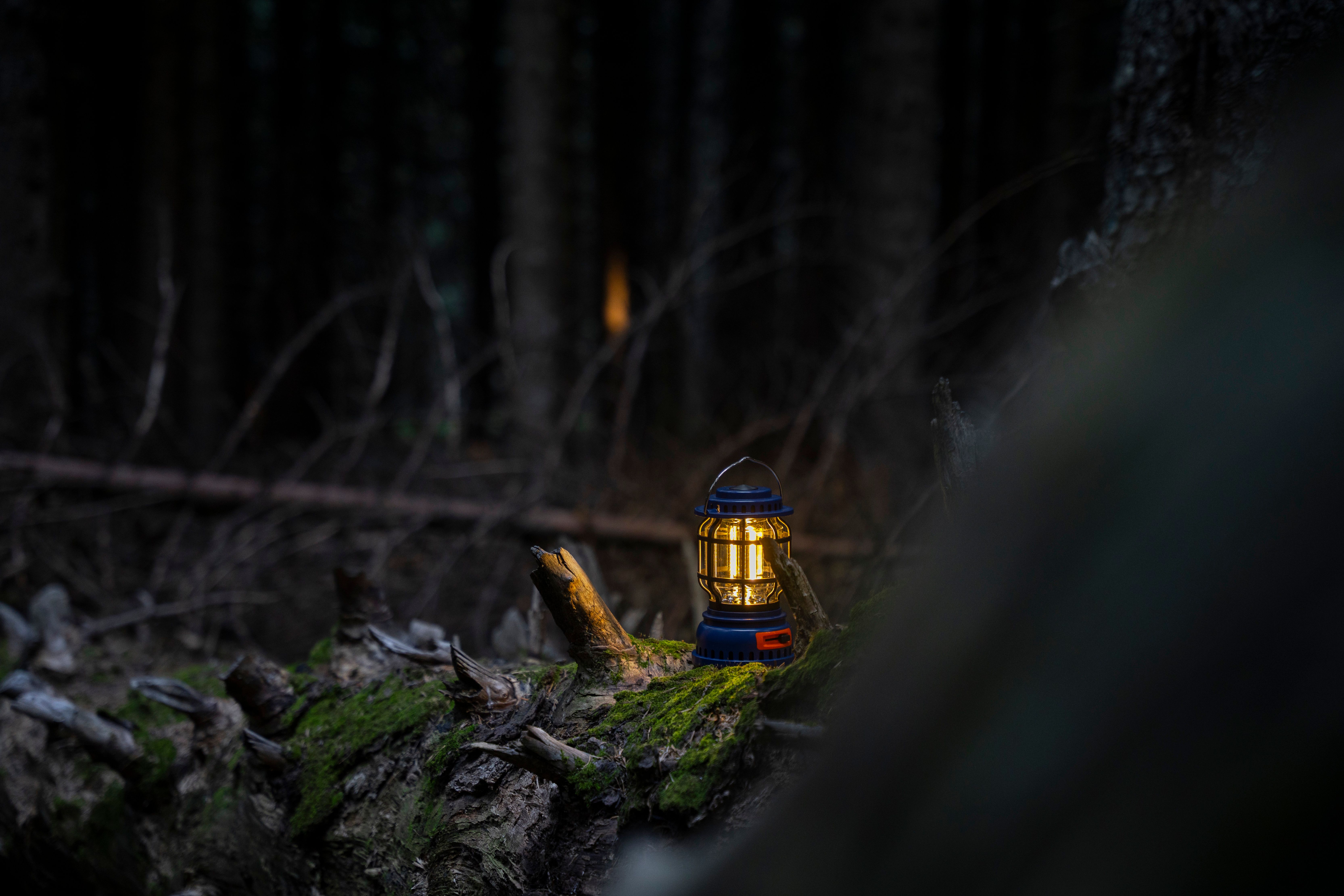 Enchanted Forest Lantern at Night in Bursa · Free Stock Photo