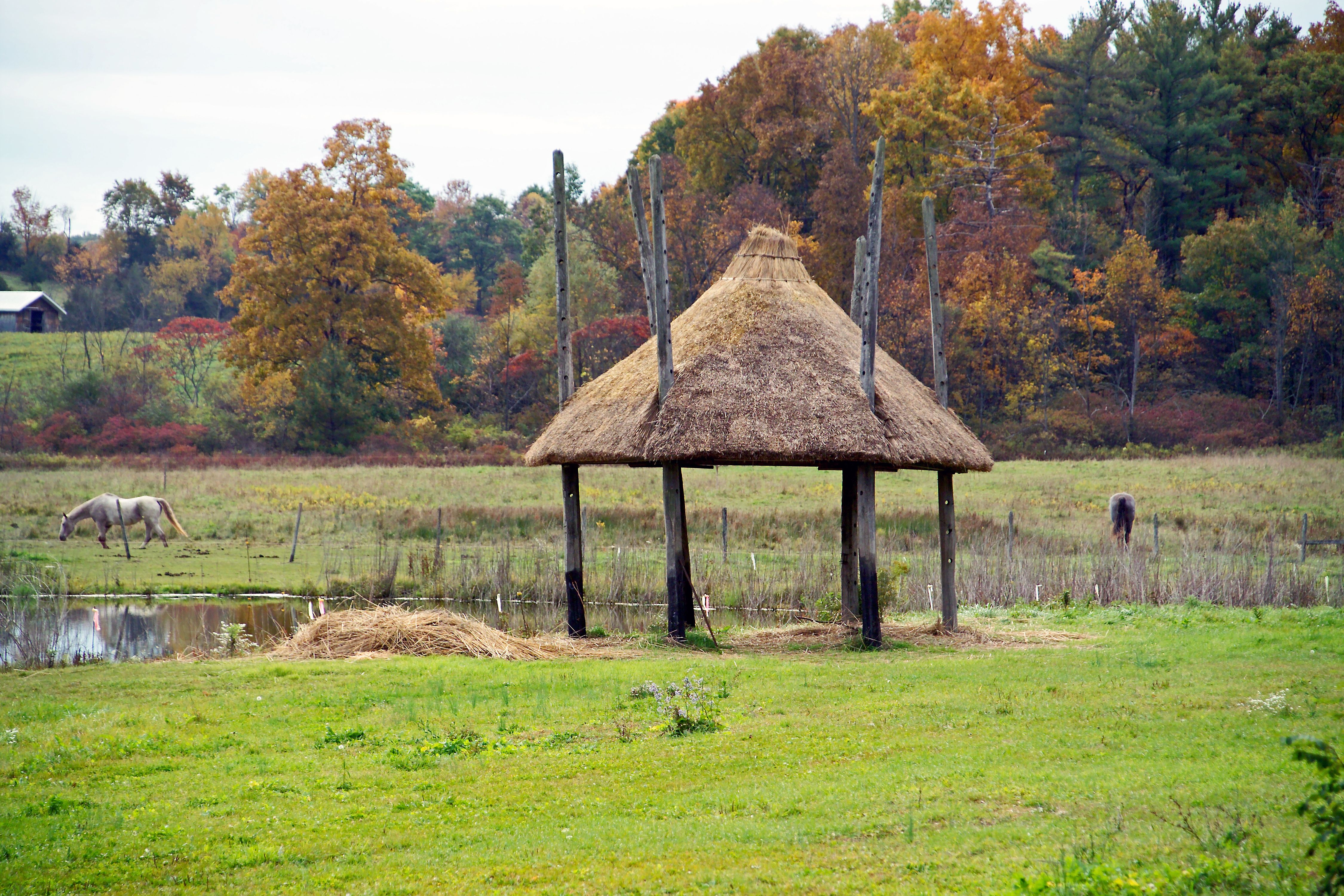 Rustic Thatched Shelter in Autumn Pasture · Free Stock Photo