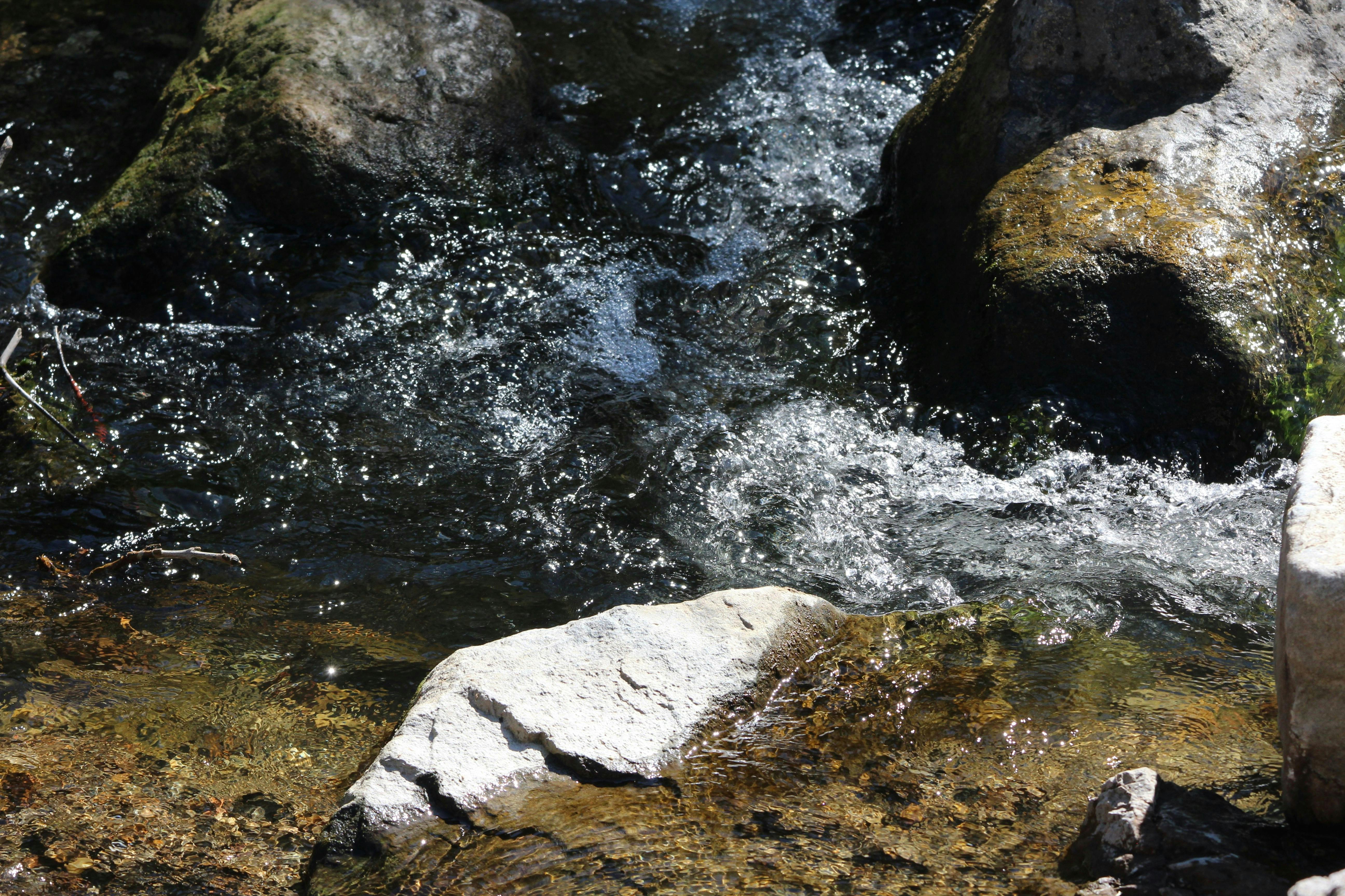 Flowing Water Over Rocks in Vienna Stream · Free Stock Photo