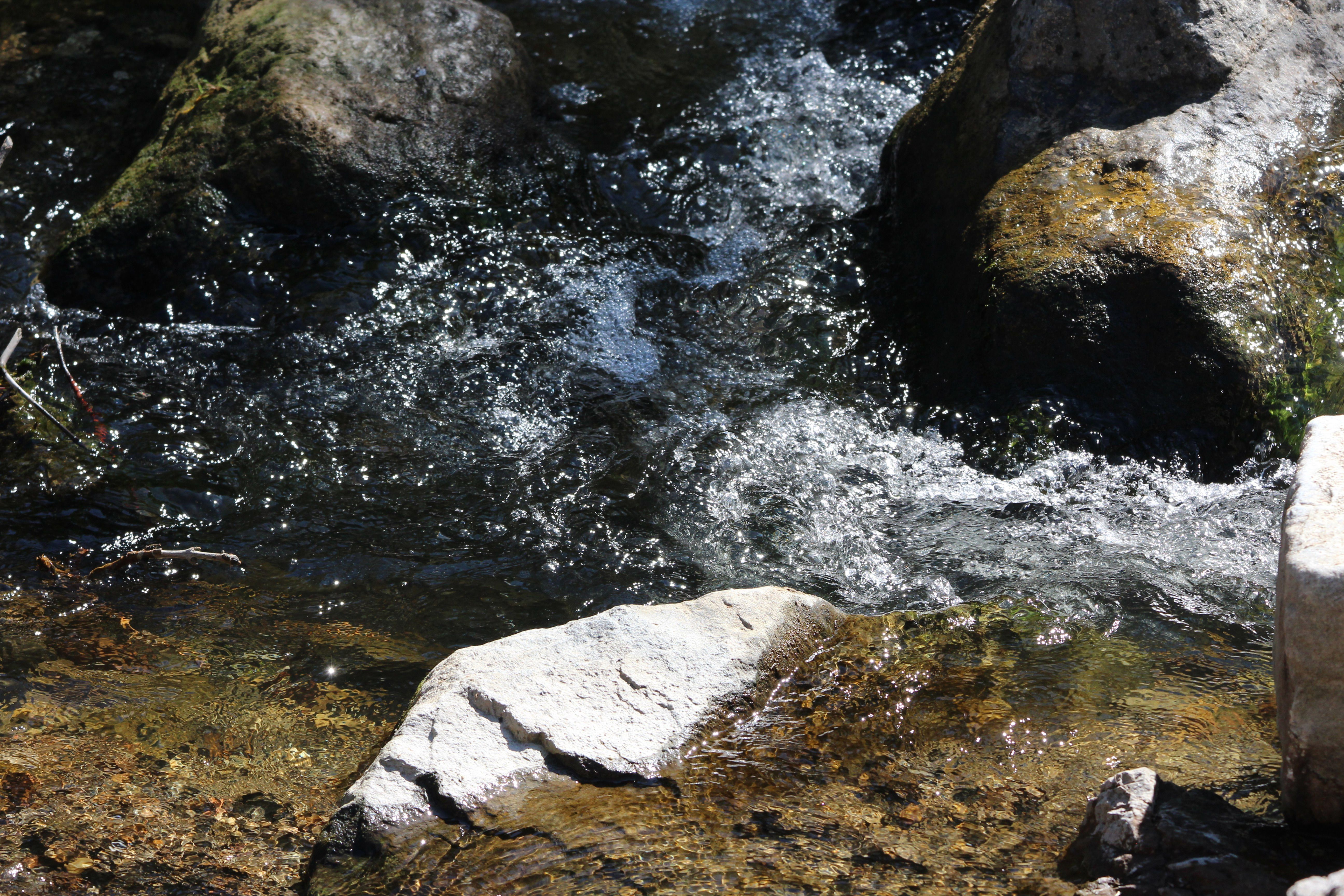 Flowing Water Over Rocks in Vienna Stream · Free Stock Photo