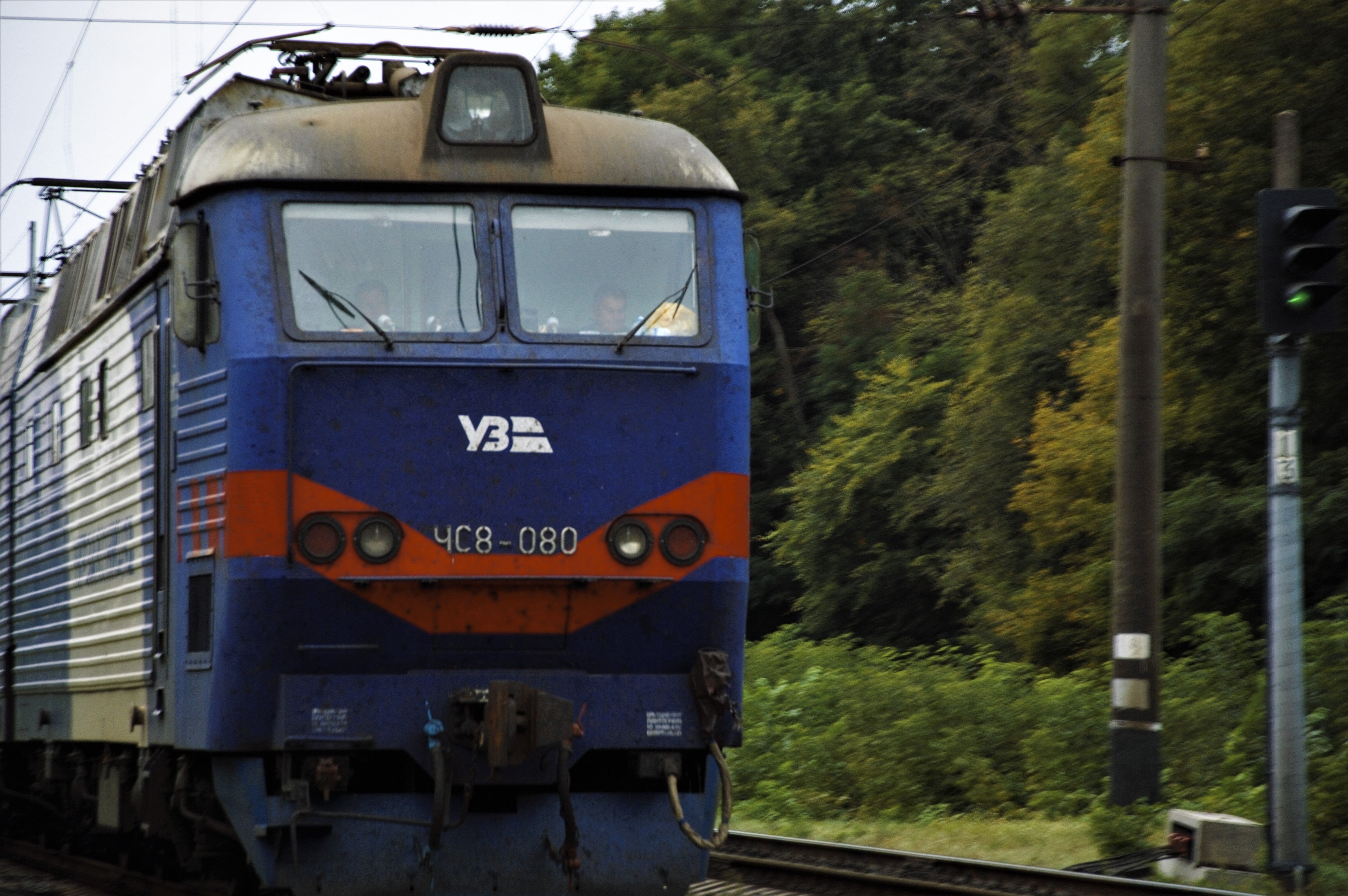 Blue Electric Train Passing Through Forest · Free Stock Photo