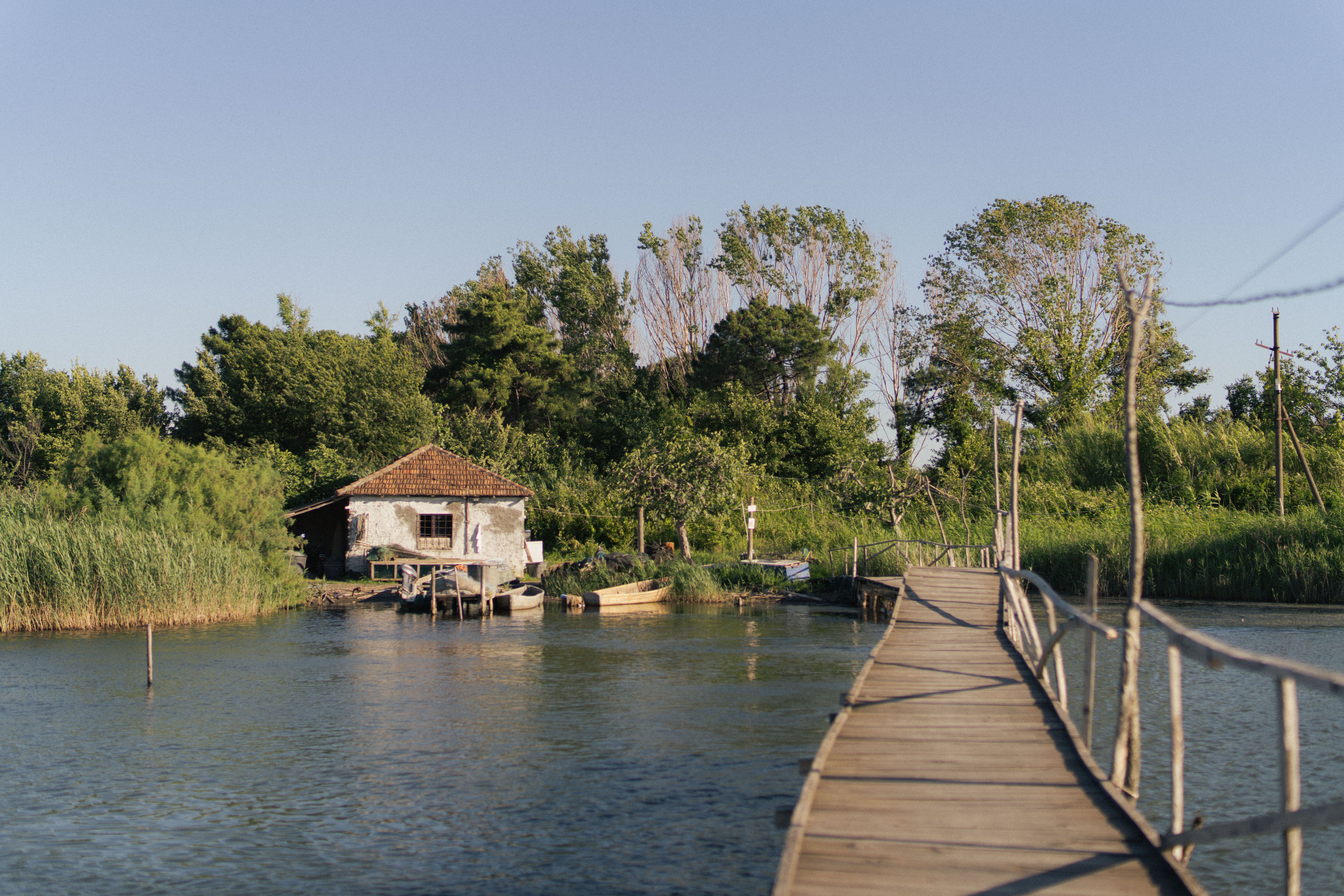 Tranquil Countryside Scene in Qarku i Lezhës · Free Stock Photo
