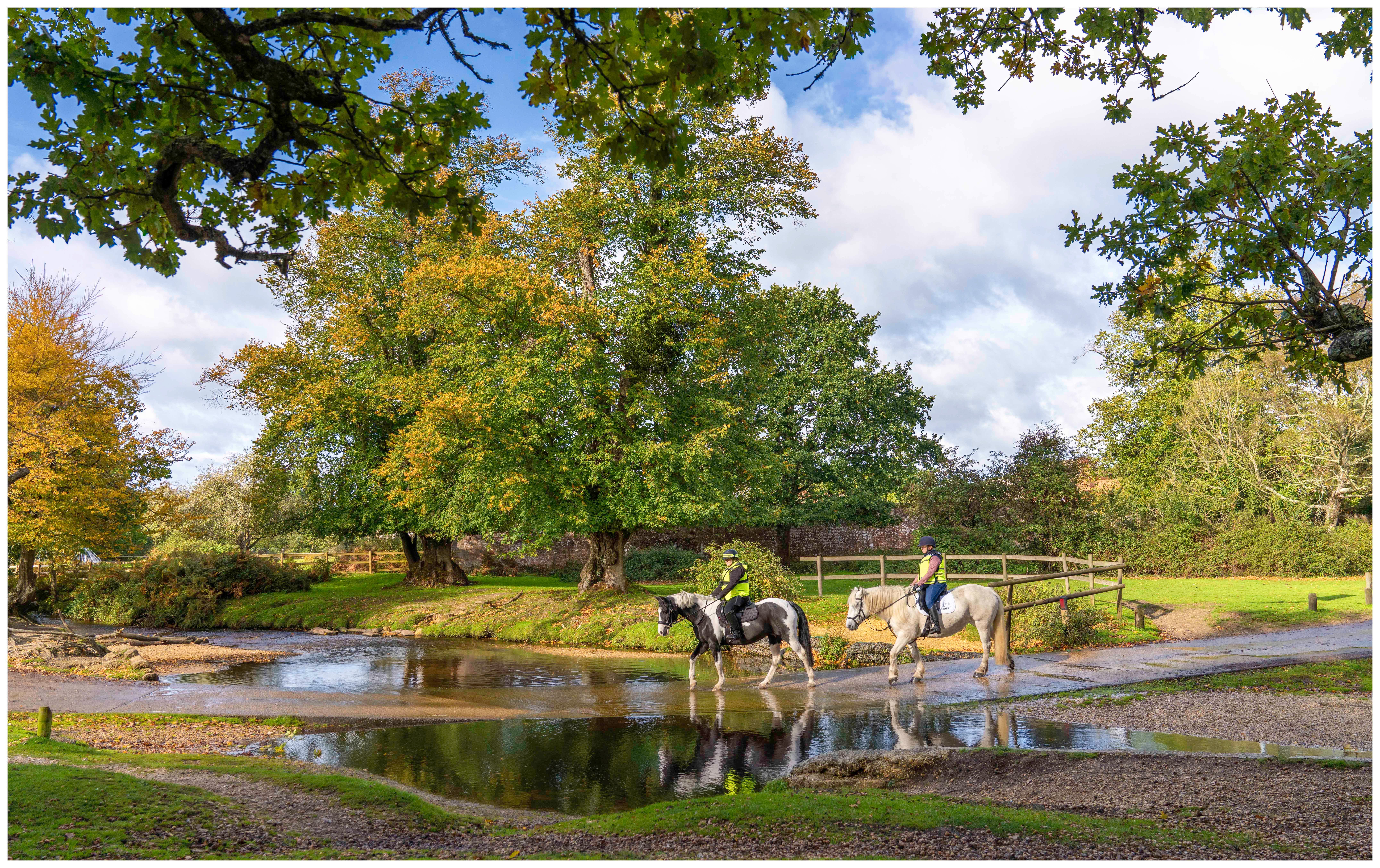 Scenic Horseback Riding in English Countryside · Free Stock Photo