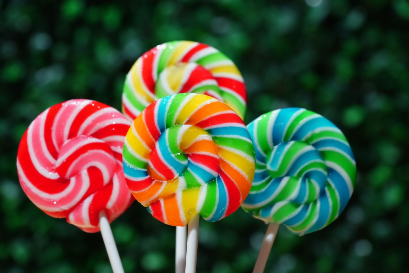 Lollipop Photos, Download The BEST Free Lollipop Stock Photos & HD Images