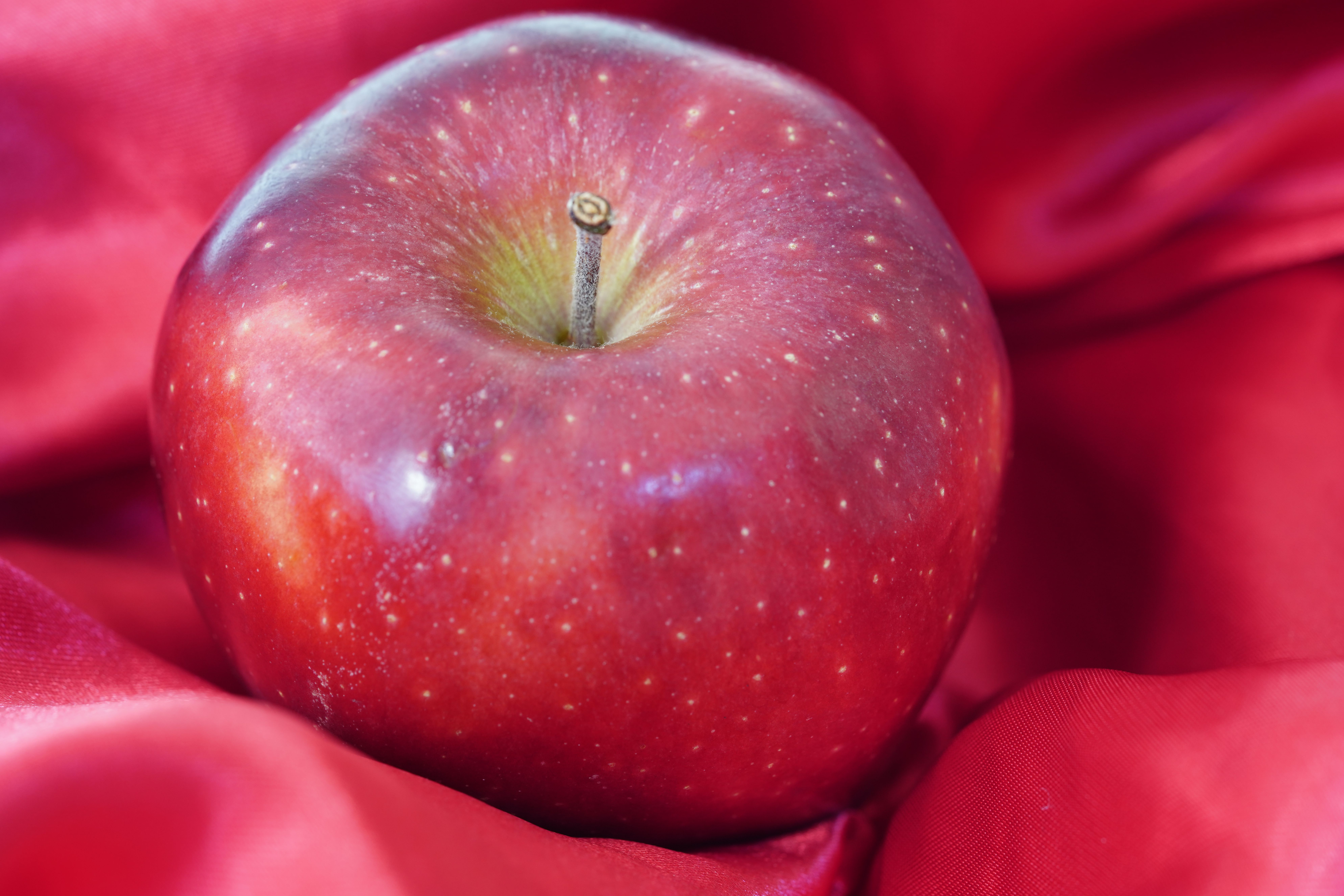 Vibrant Red Apple on Luxurious Fabric · Free Stock Photo