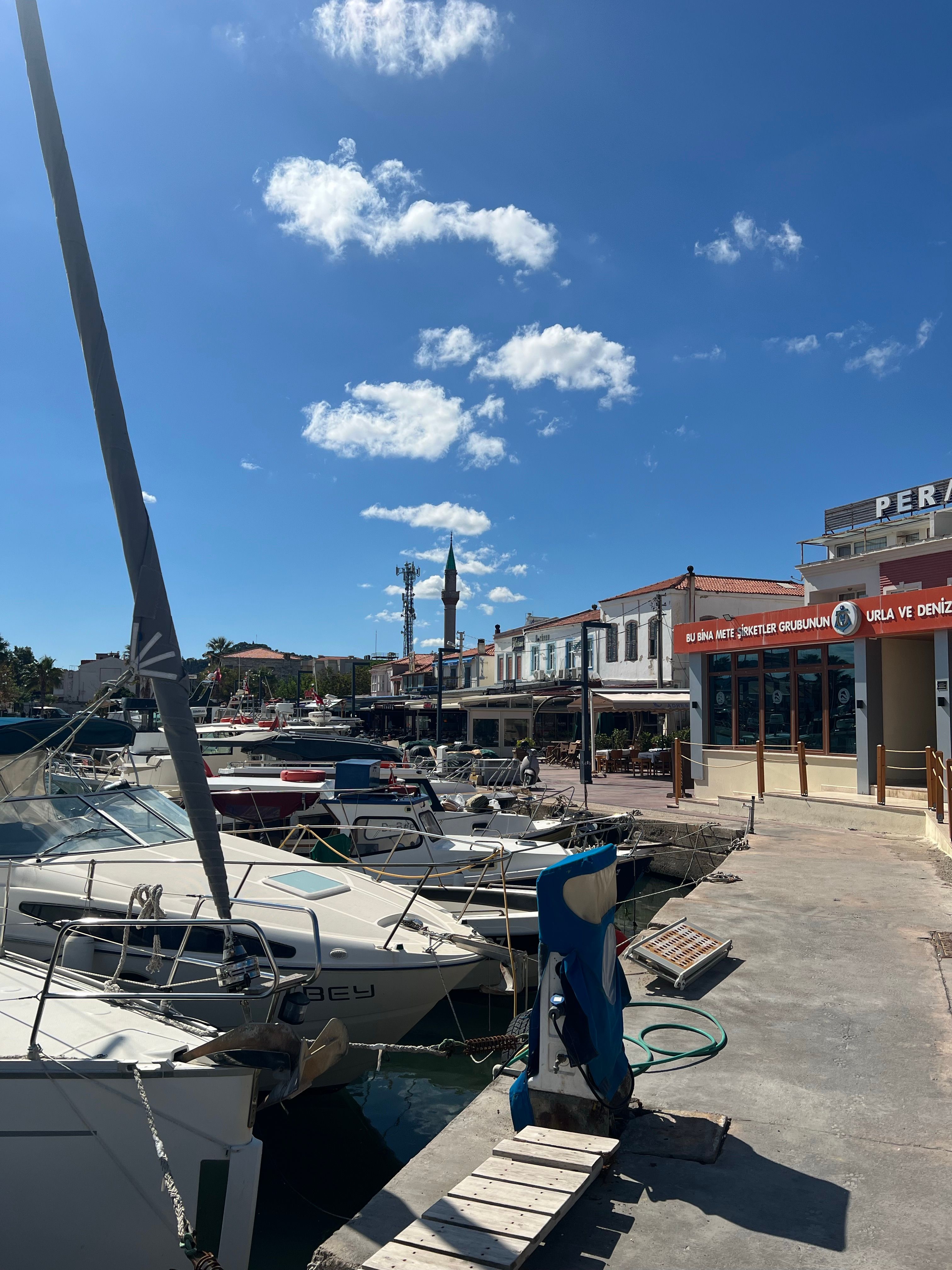 Sunny Coastal Marina with Moored Boats · Free Stock Photo