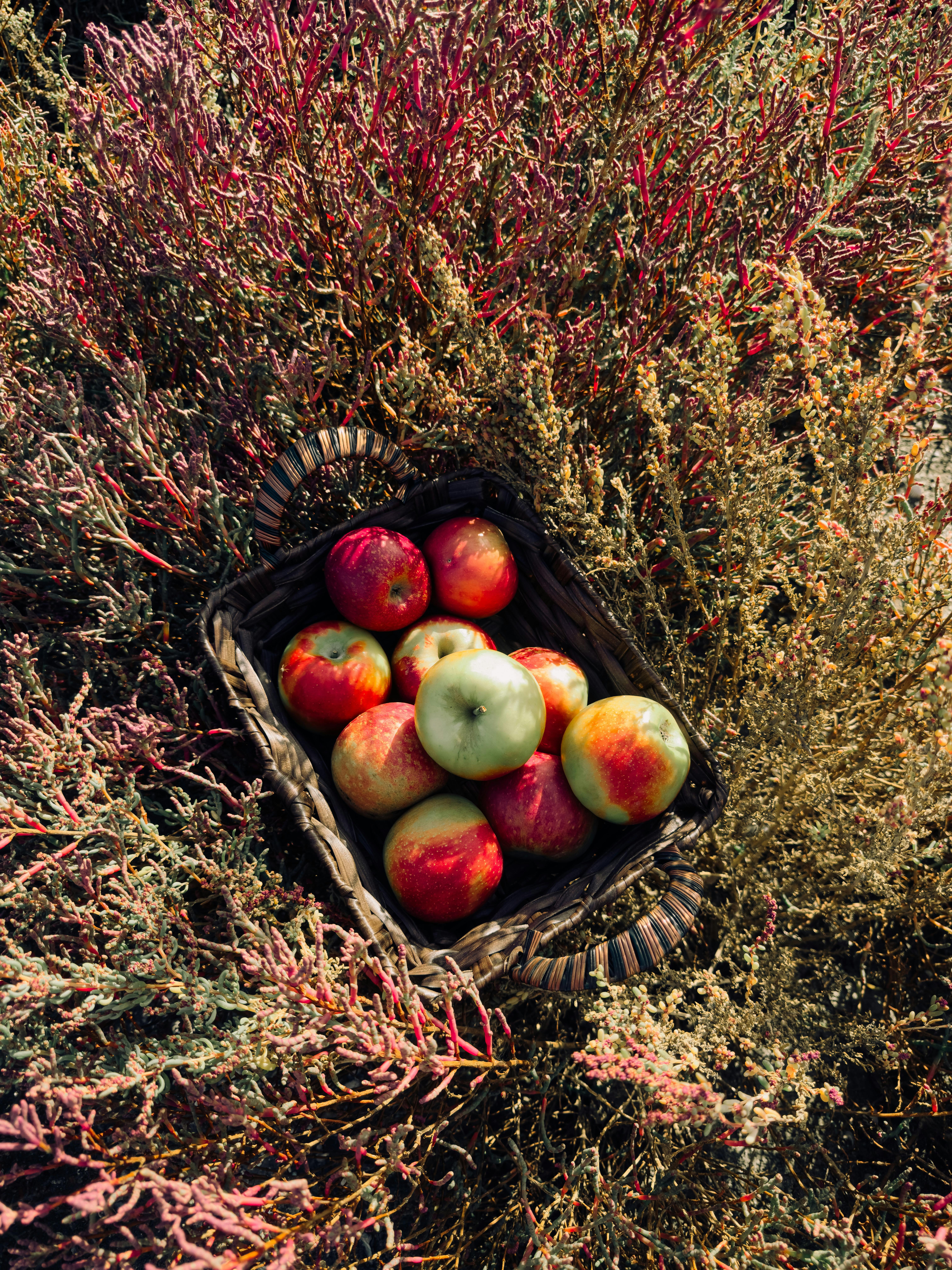 Anar, Graps, Fruit Photos, Download The BEST Free Anar, Graps, Fruit ...