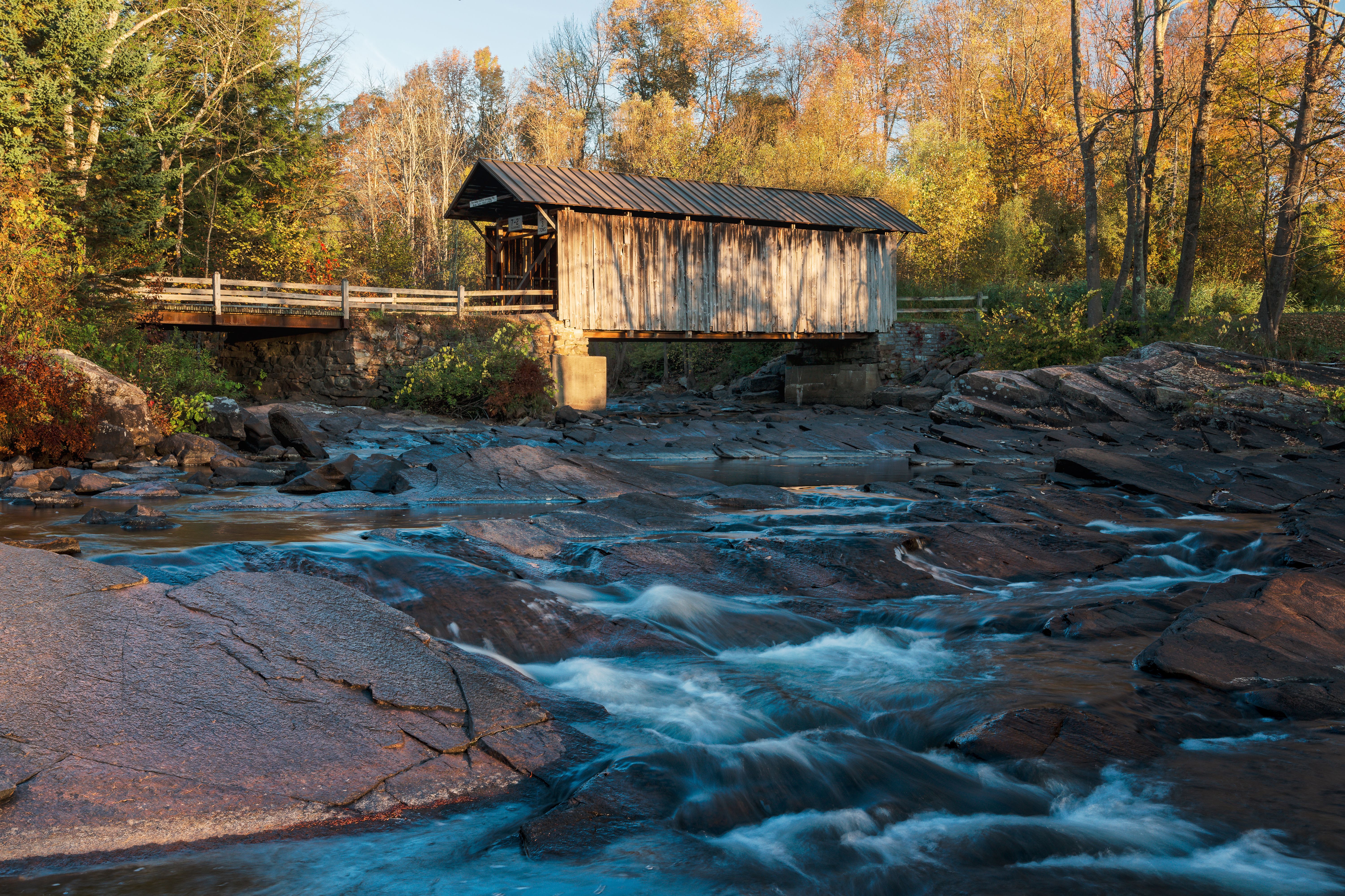 1,000+ Best Brook Photos · 100% Free Download · Pexels Stock Photos