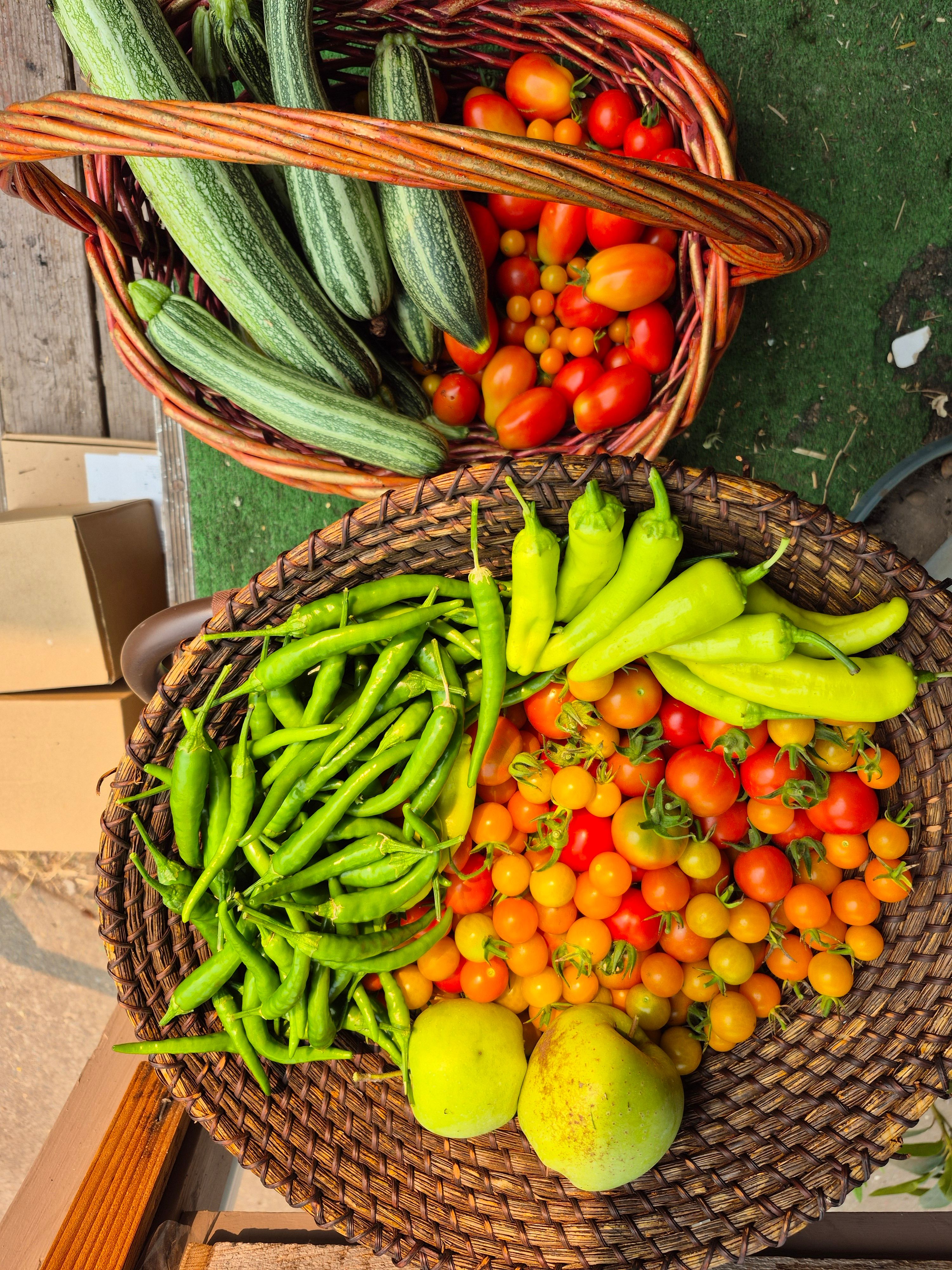 Bounty Of Crops Photos, Download The BEST Free Bounty Of Crops Stock ...