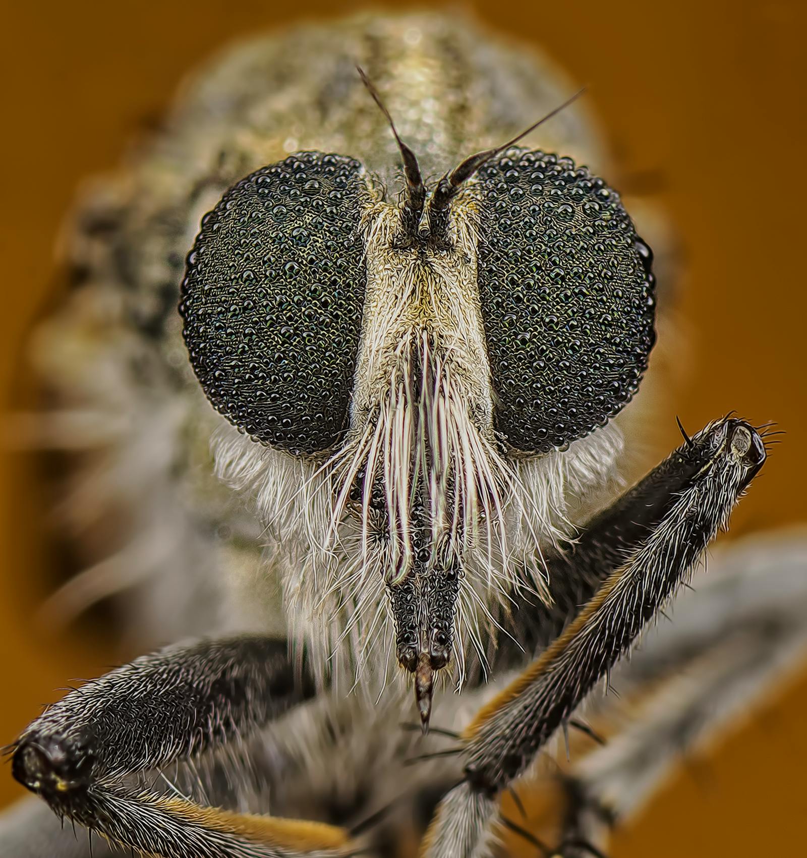 20+ Foto Toket+gede+abg+bugil Terbaik · Unduh Gratis 100% · Foto Stok Pexels