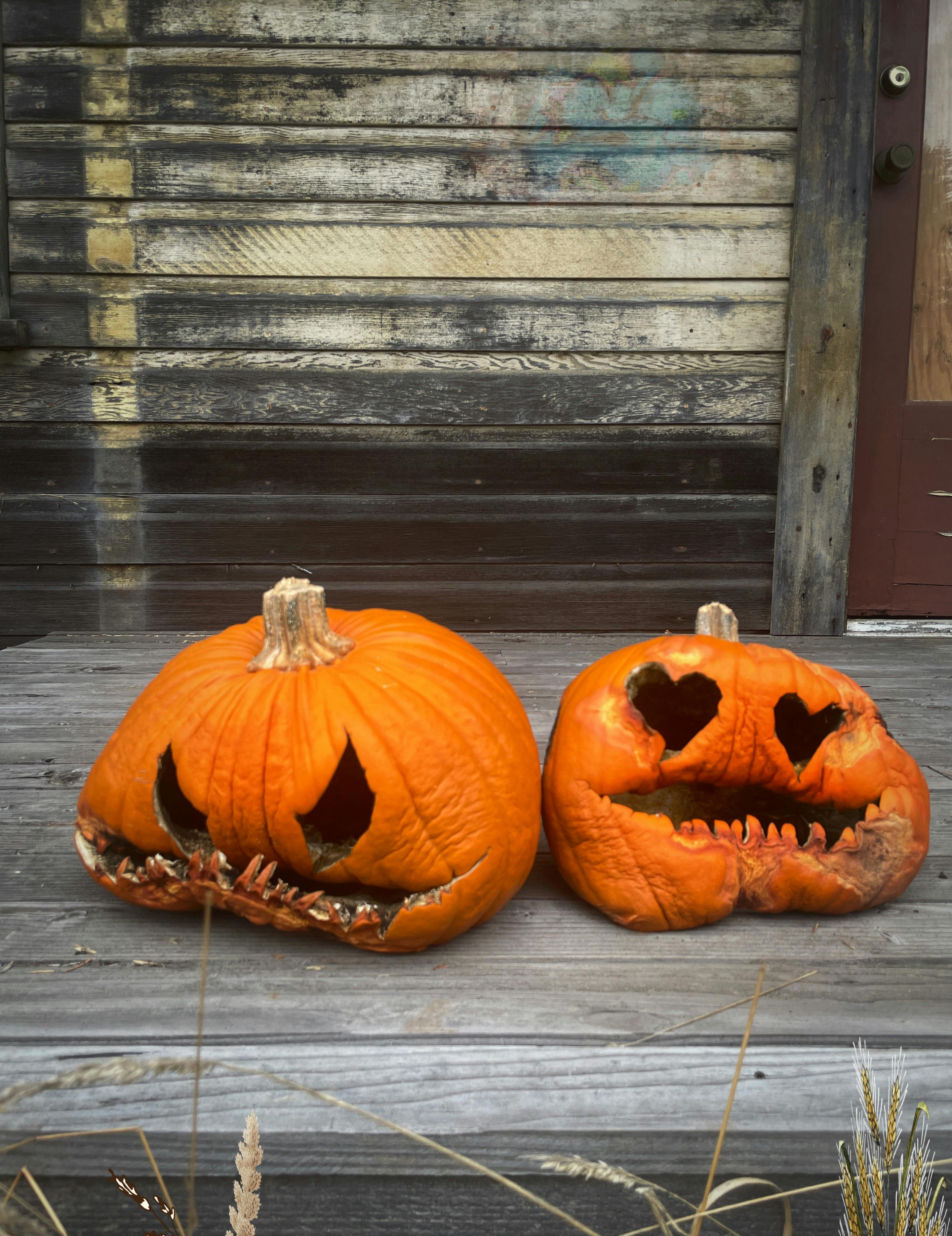 Ugly Teen Photos, Download The BEST Free Ugly Teen Stock Photos & HD Images