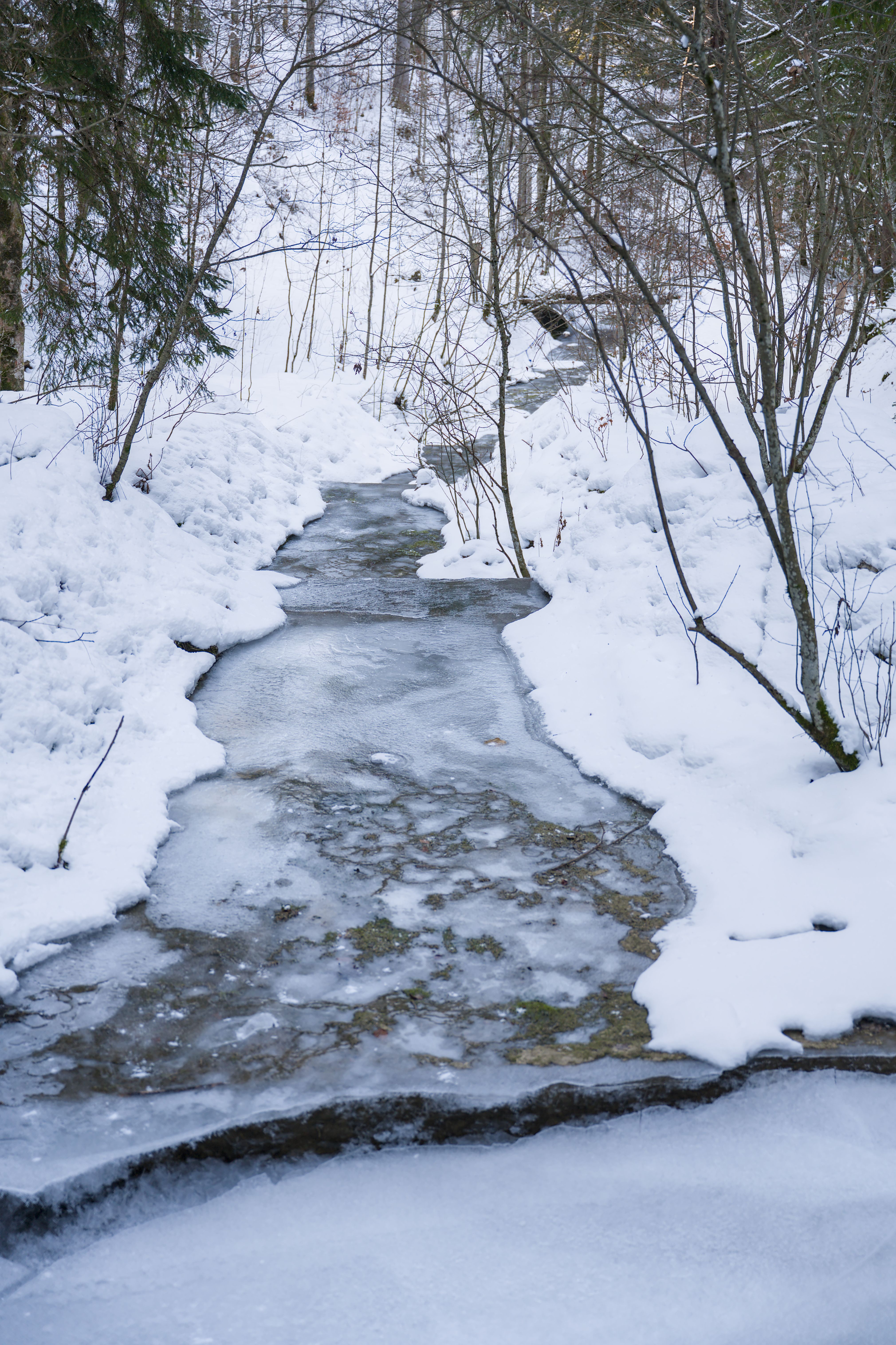 View of a Stream in Winter · Free Stock Photo