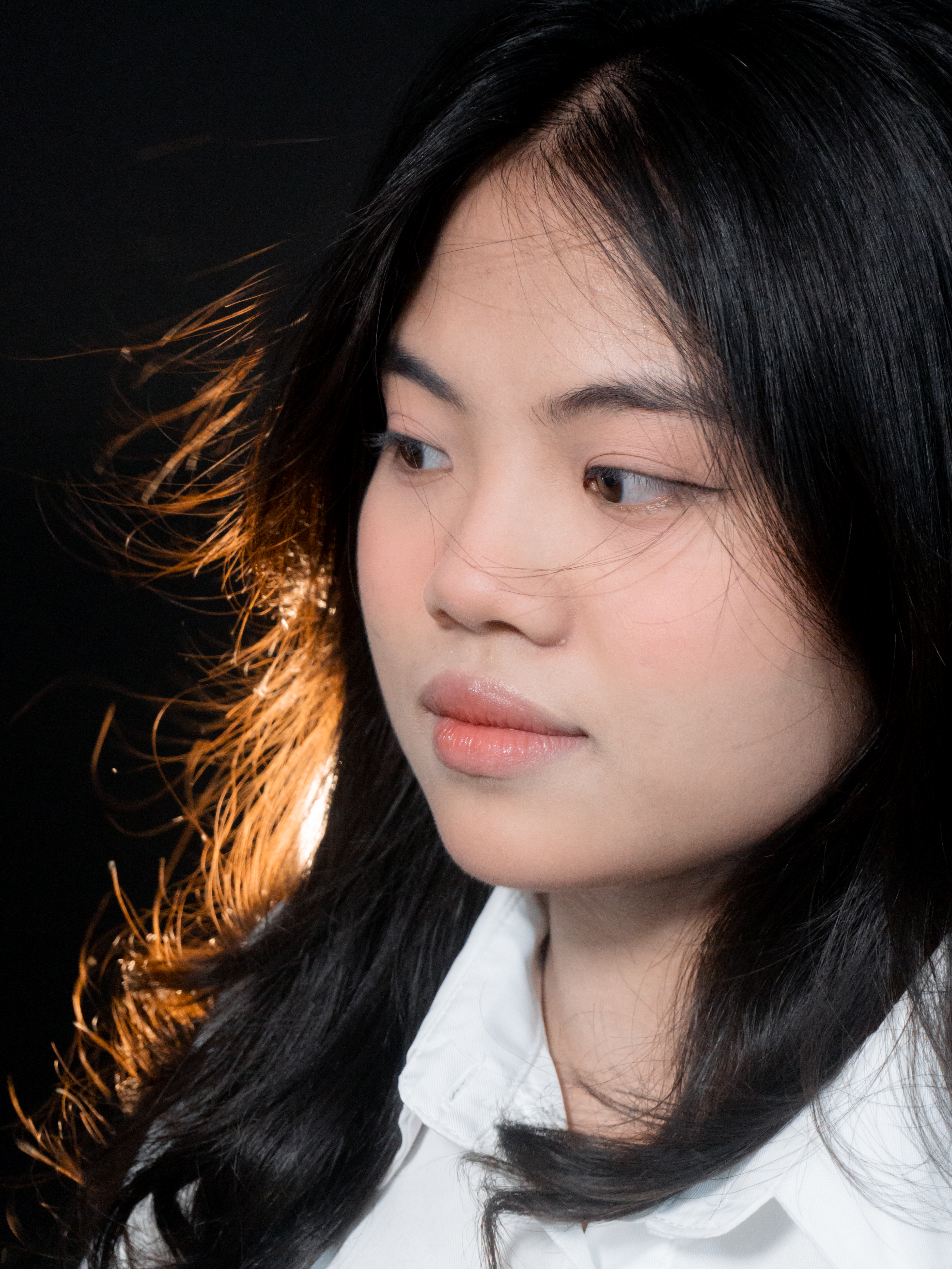 Photogenic Woman with Black Hair in Studio Portrait · Free Stock Photo