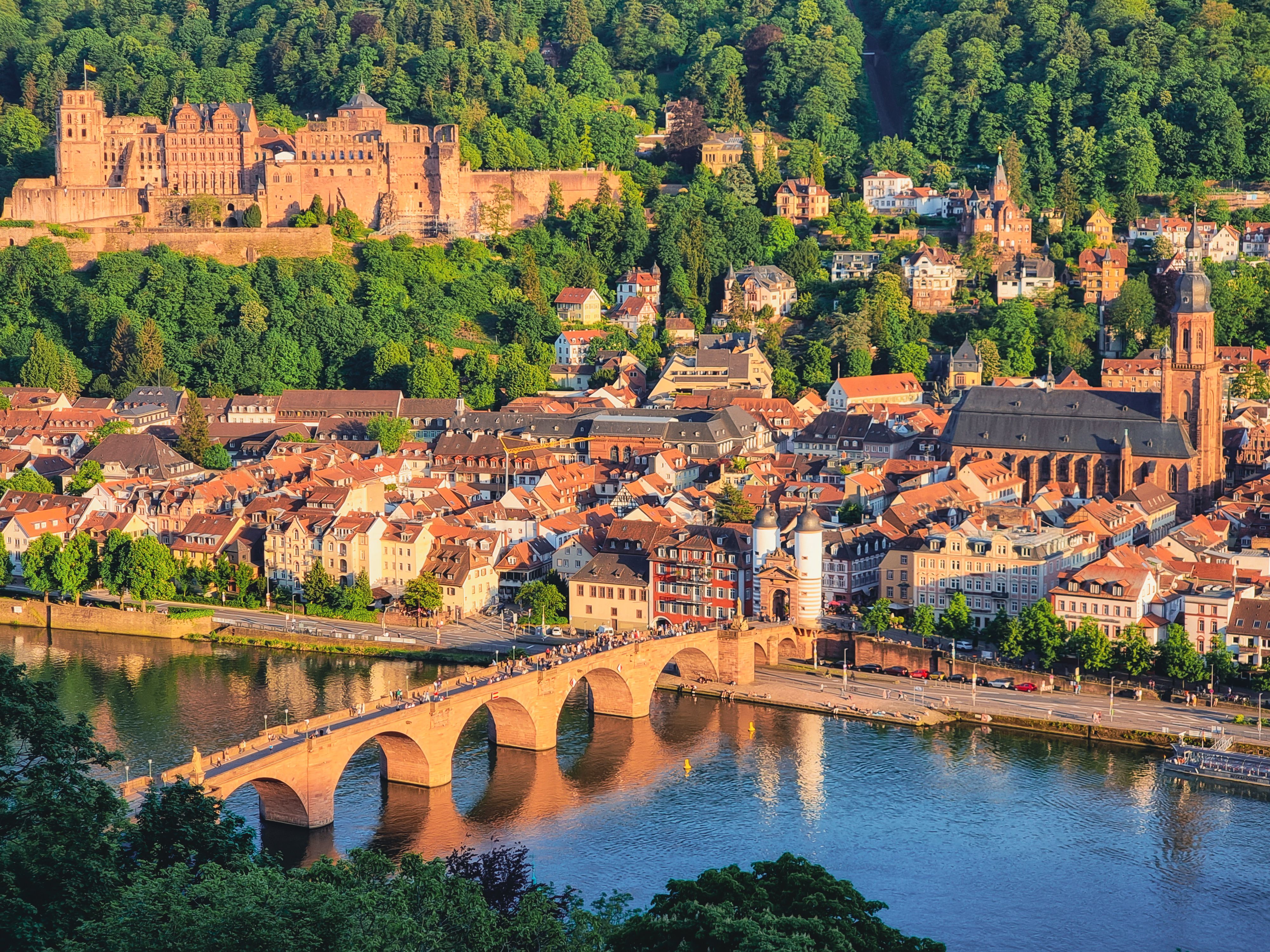 Heidelberg City and Castle Panorama at Sunset · Free Stock Photo