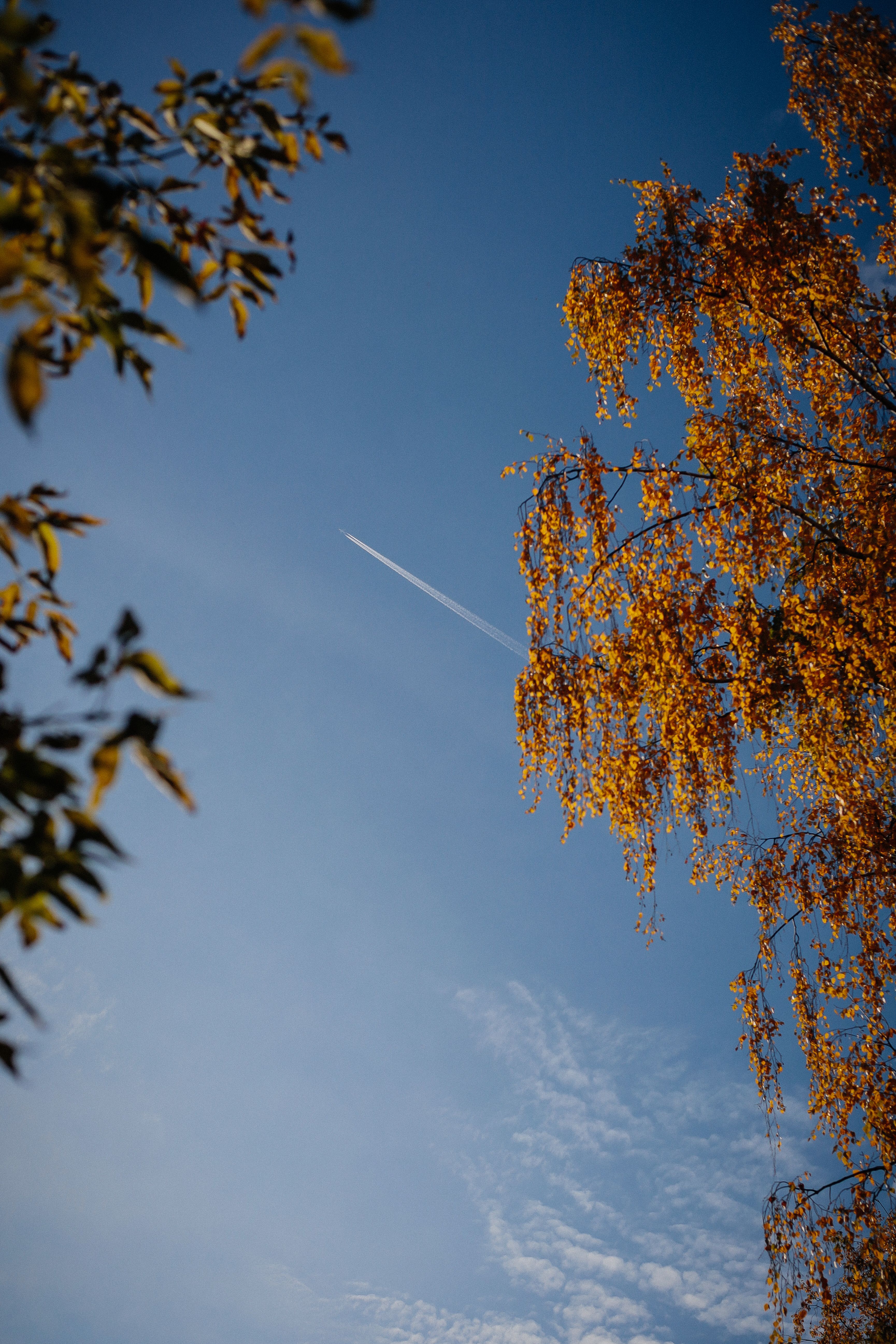 Day Weather Background Photos, Download The BEST Free Day Weather ...