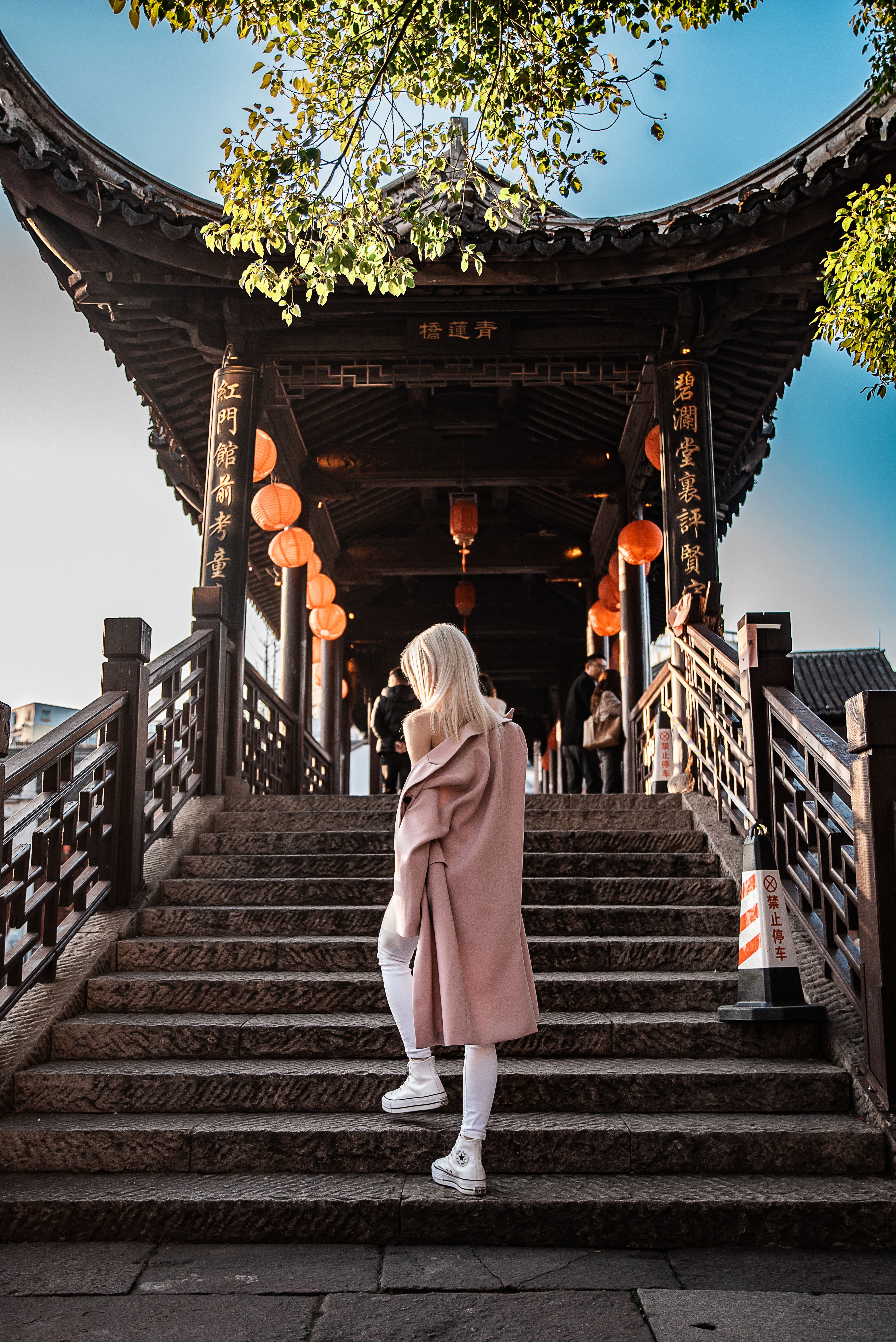 Woman Ascending Traditional Asian Bridge Steps · Free Stock Photo