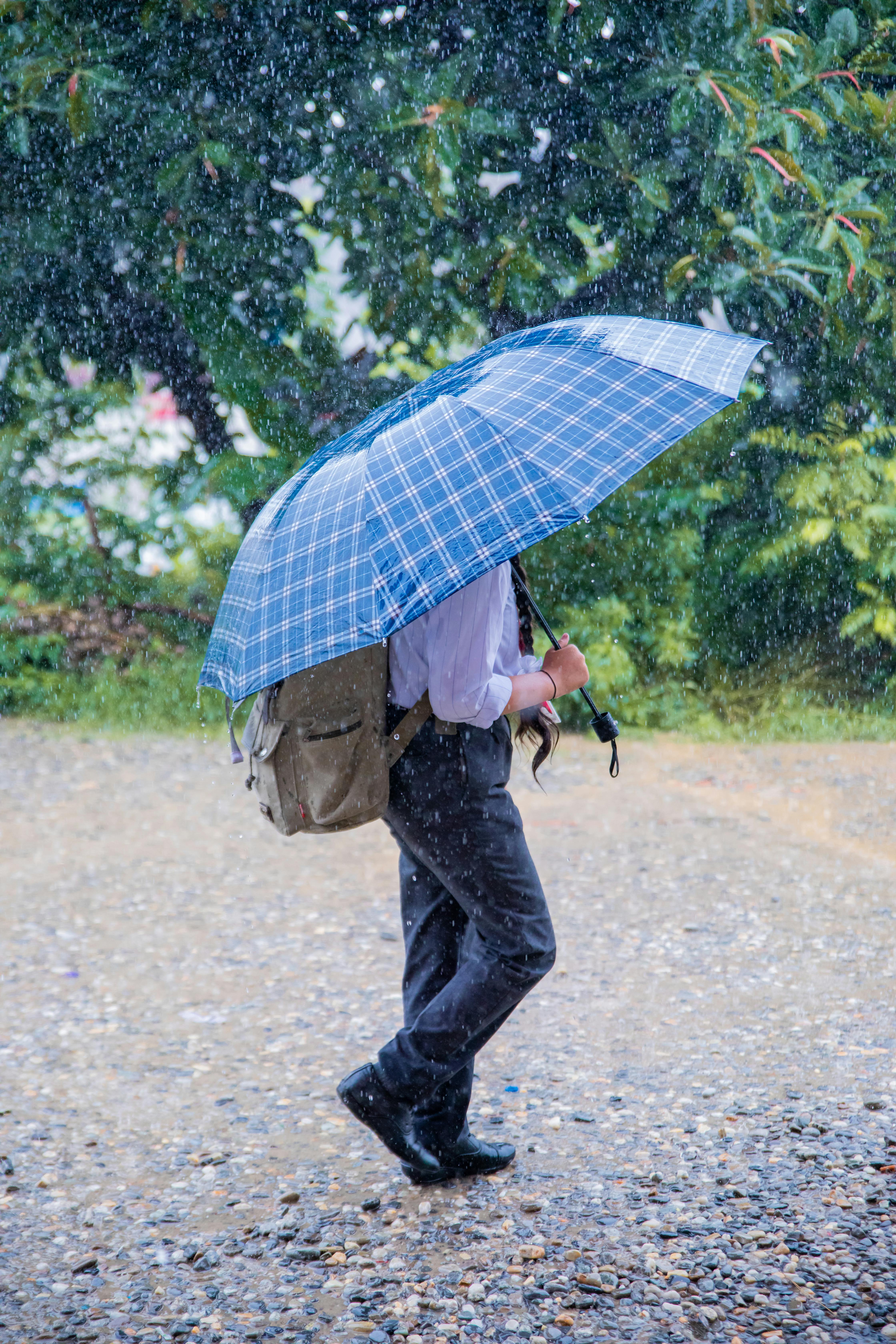 Woman Walking on Wet Street with Umbrella · Free Stock Photo