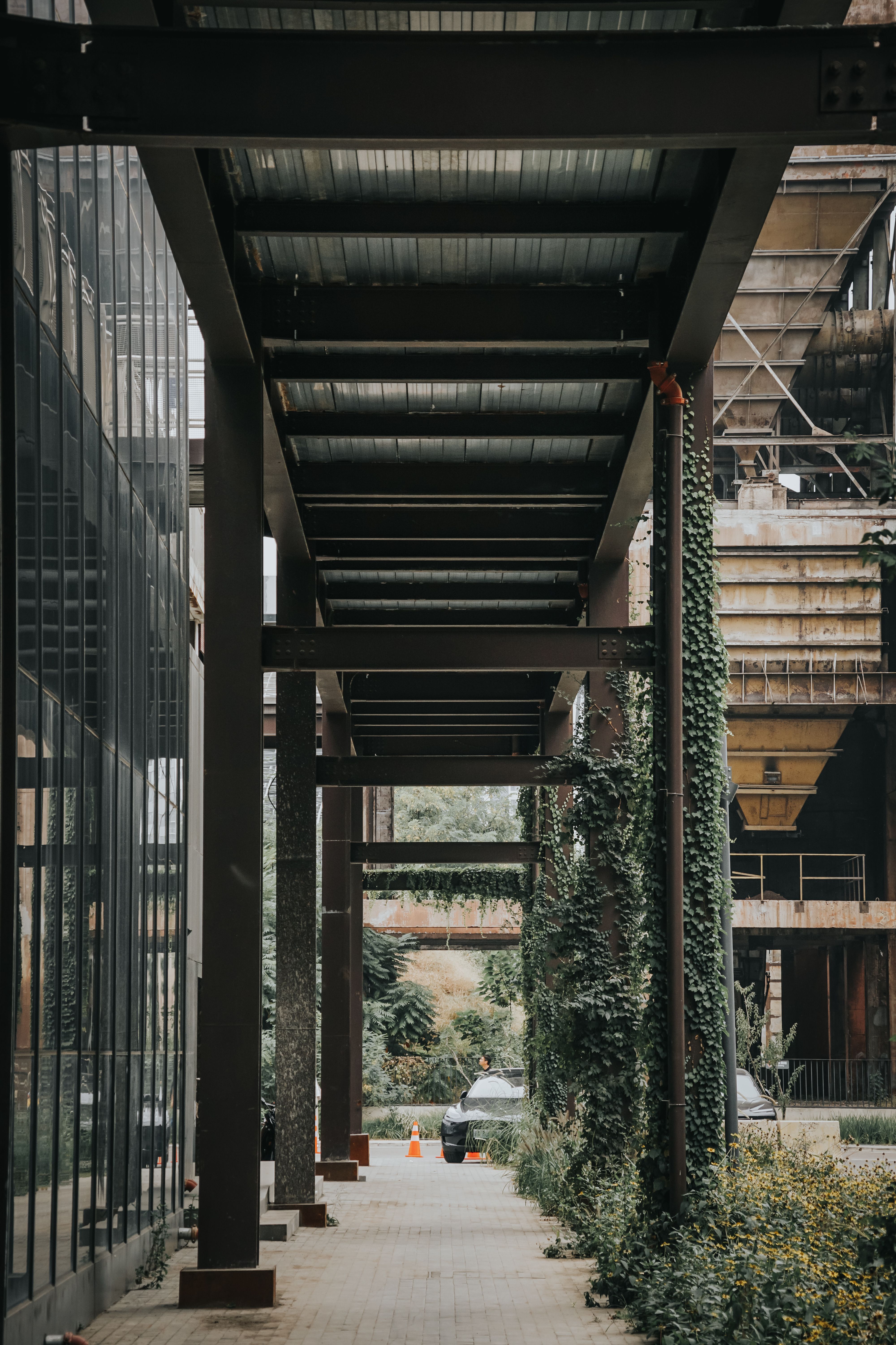 Urban Architectural Corridor with Ivy and Steel Beams · Free Stock Photo