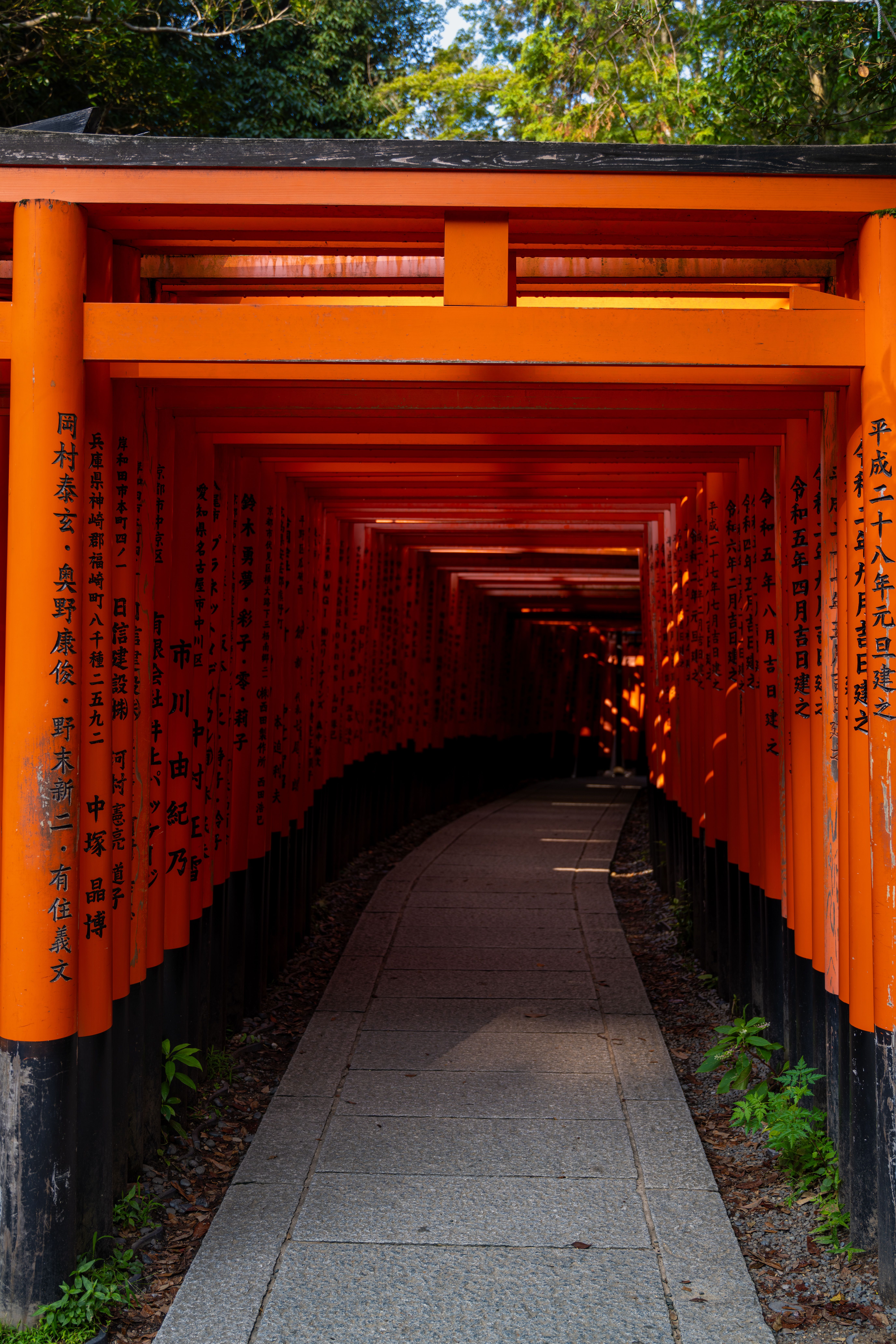 Vibrant Torii Gate Pathway at Fushimi Inari Shrine · Free Stock Photo