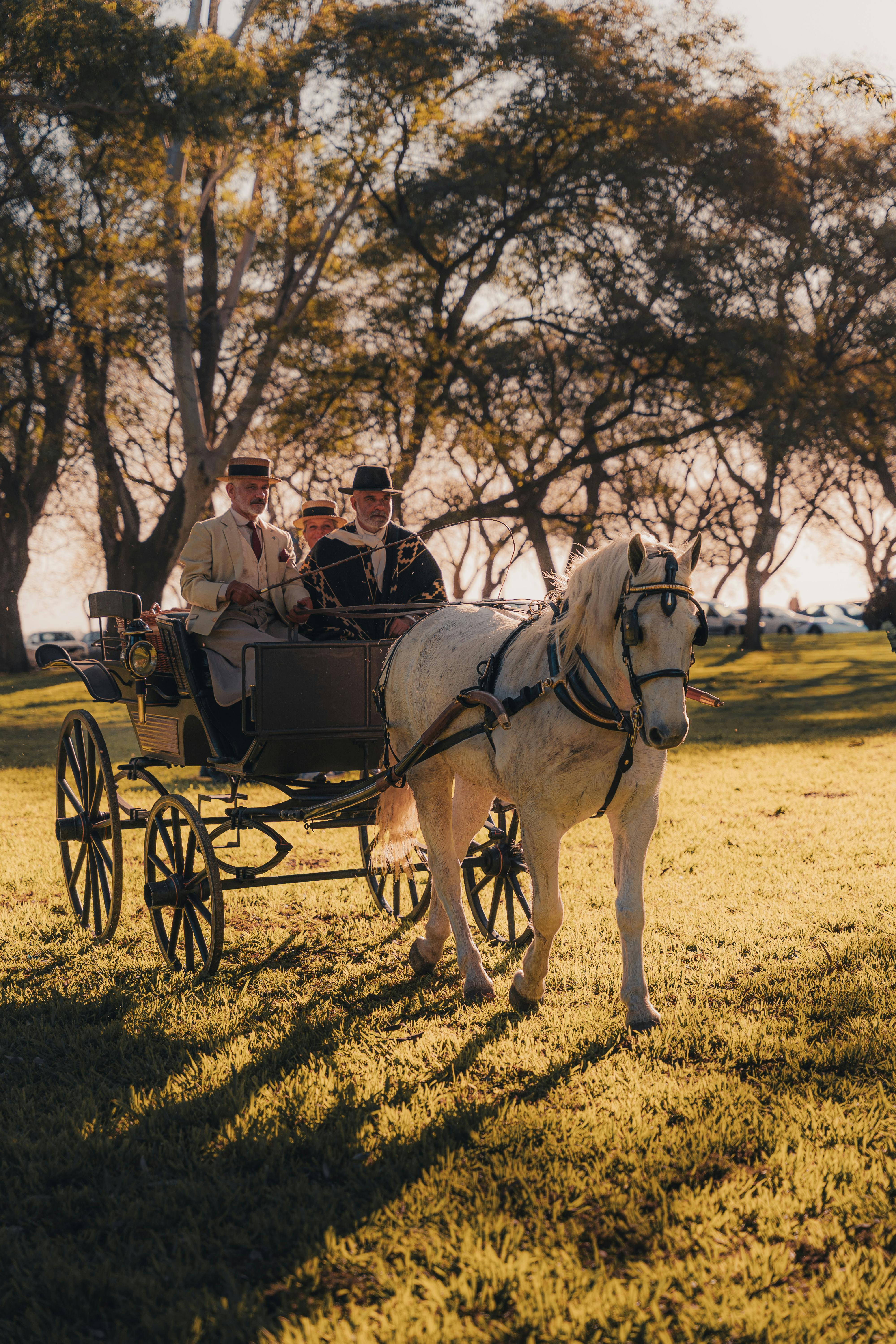 Traditional Horse-Drawn Carriage in Chascomús · Free Stock Photo