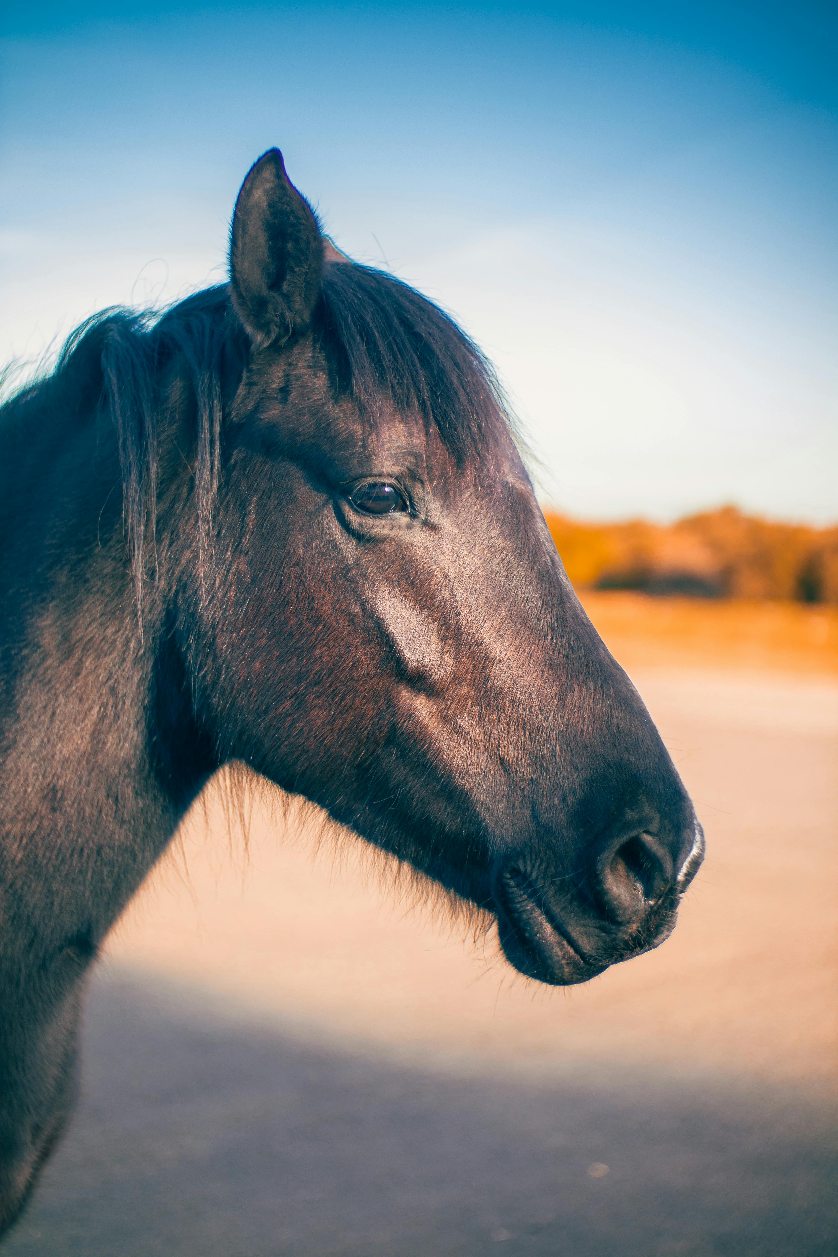 Tuff+Profile+Pics Photos, Download The BEST Free Tuff+Profile+Pics ...