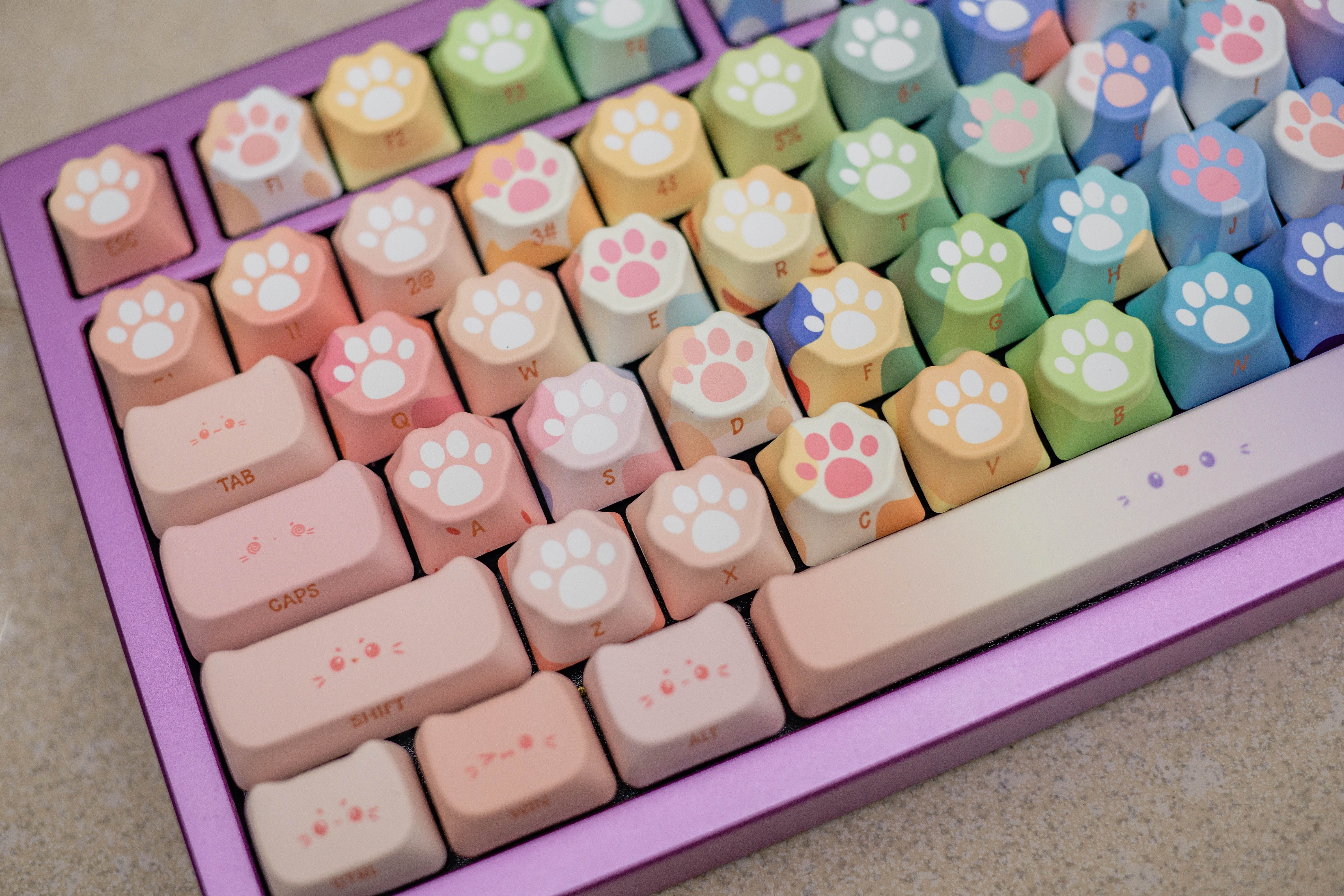 Cat On Keyboard Desktop Wallpaper Photos, Download The BEST Free Cat On ...