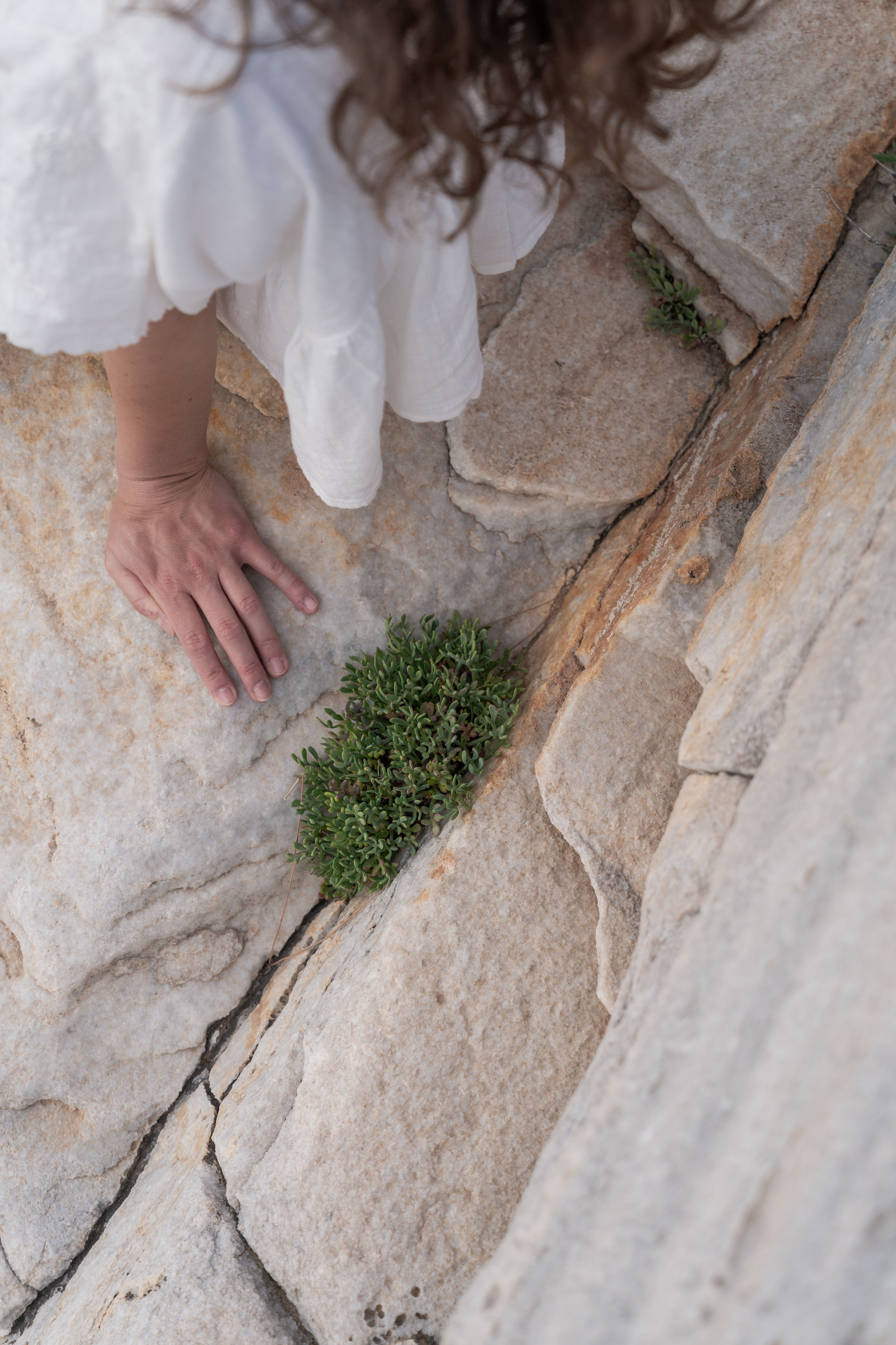 Stone In Hand Close Up” Photos, Download The BEST Free Stone In Hand ...