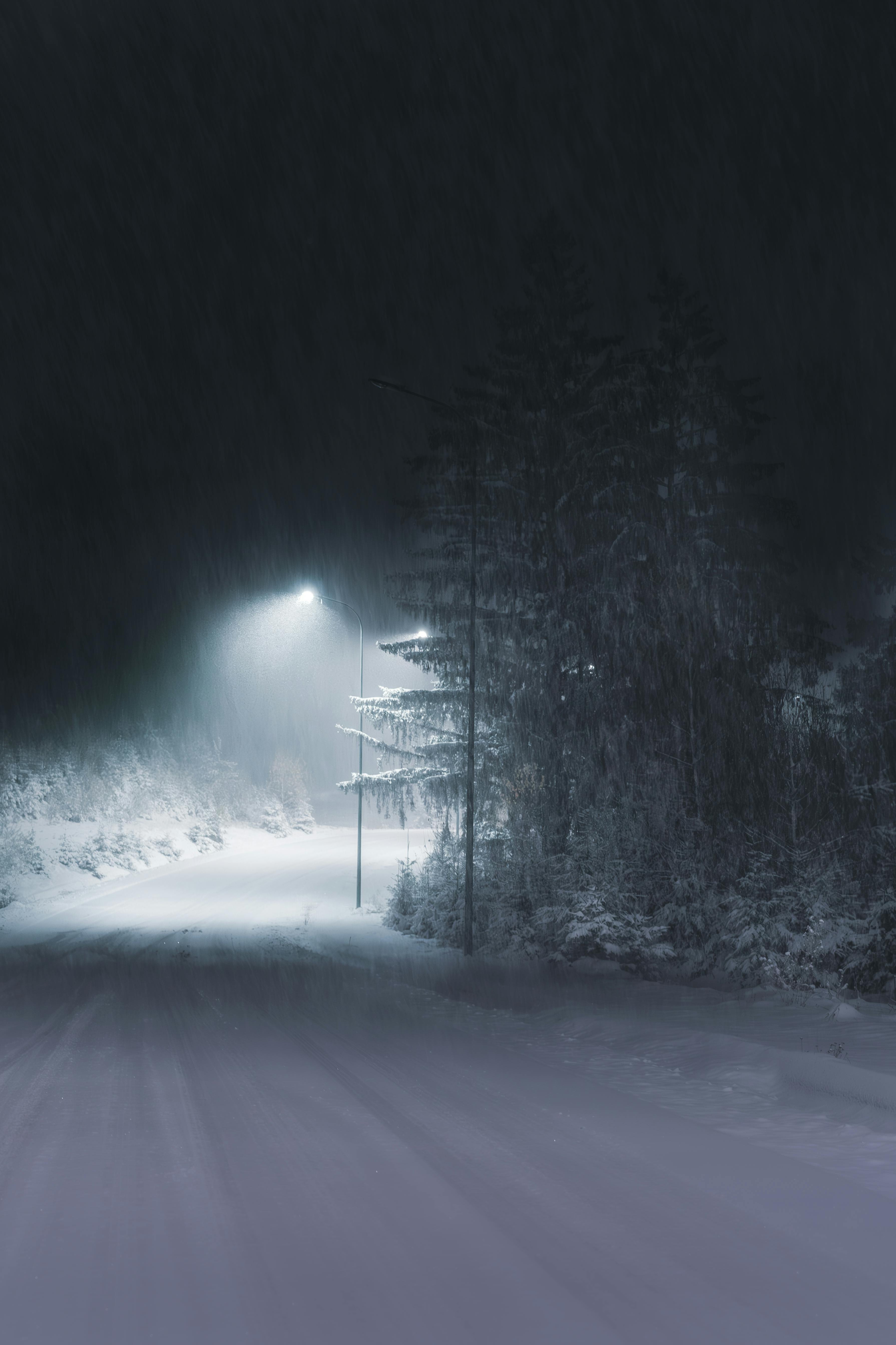 Serene Snow-Covered Road Under Streetlight at Night · Free Stock Photo