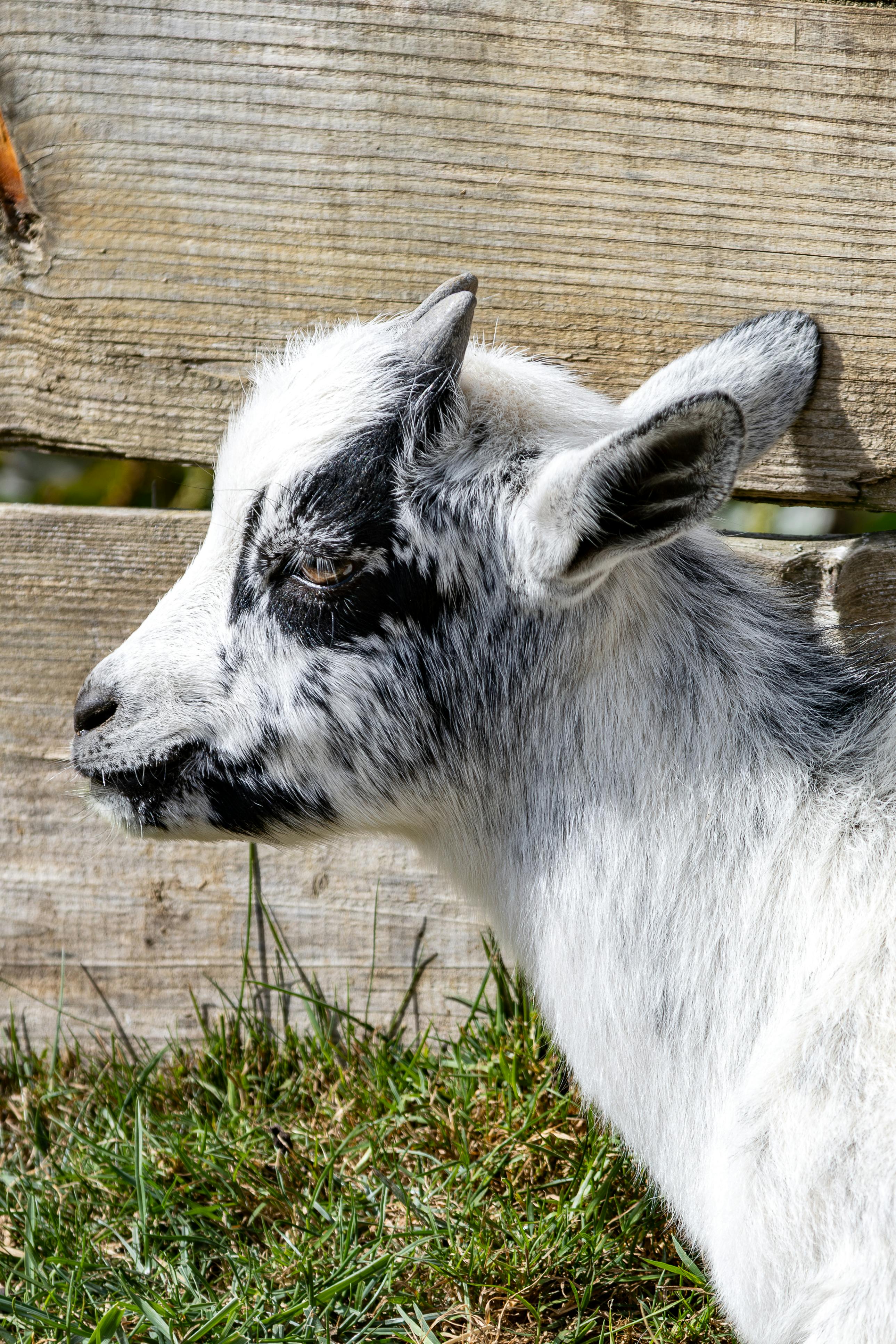 Tuff+Profile+Pics Photos, Download The BEST Free Tuff+Profile+Pics ...