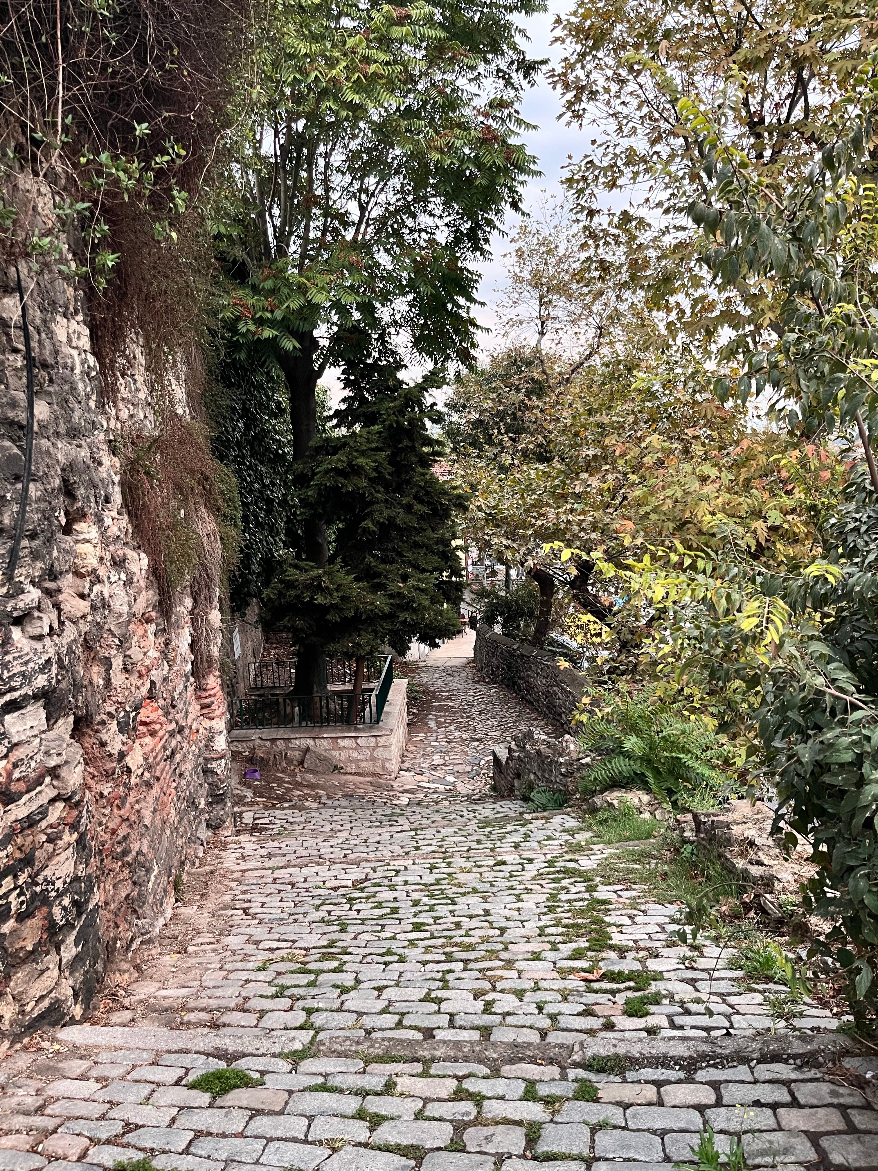 Charming Cobblestone Path in a Lush Garden · Free Stock Photo