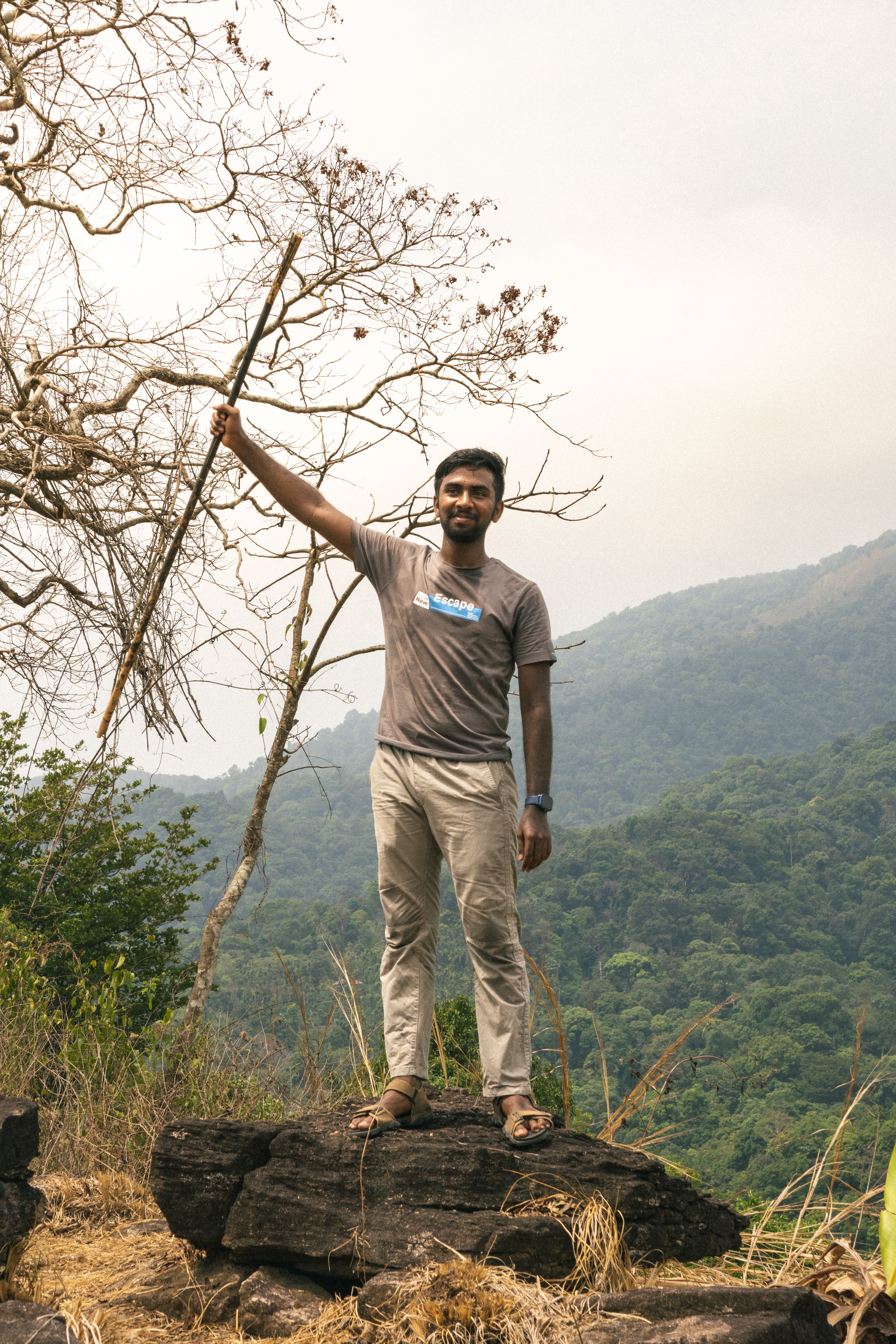 10,000+ Best Stick Photos · 100% Free Download · Pexels Stock Photos