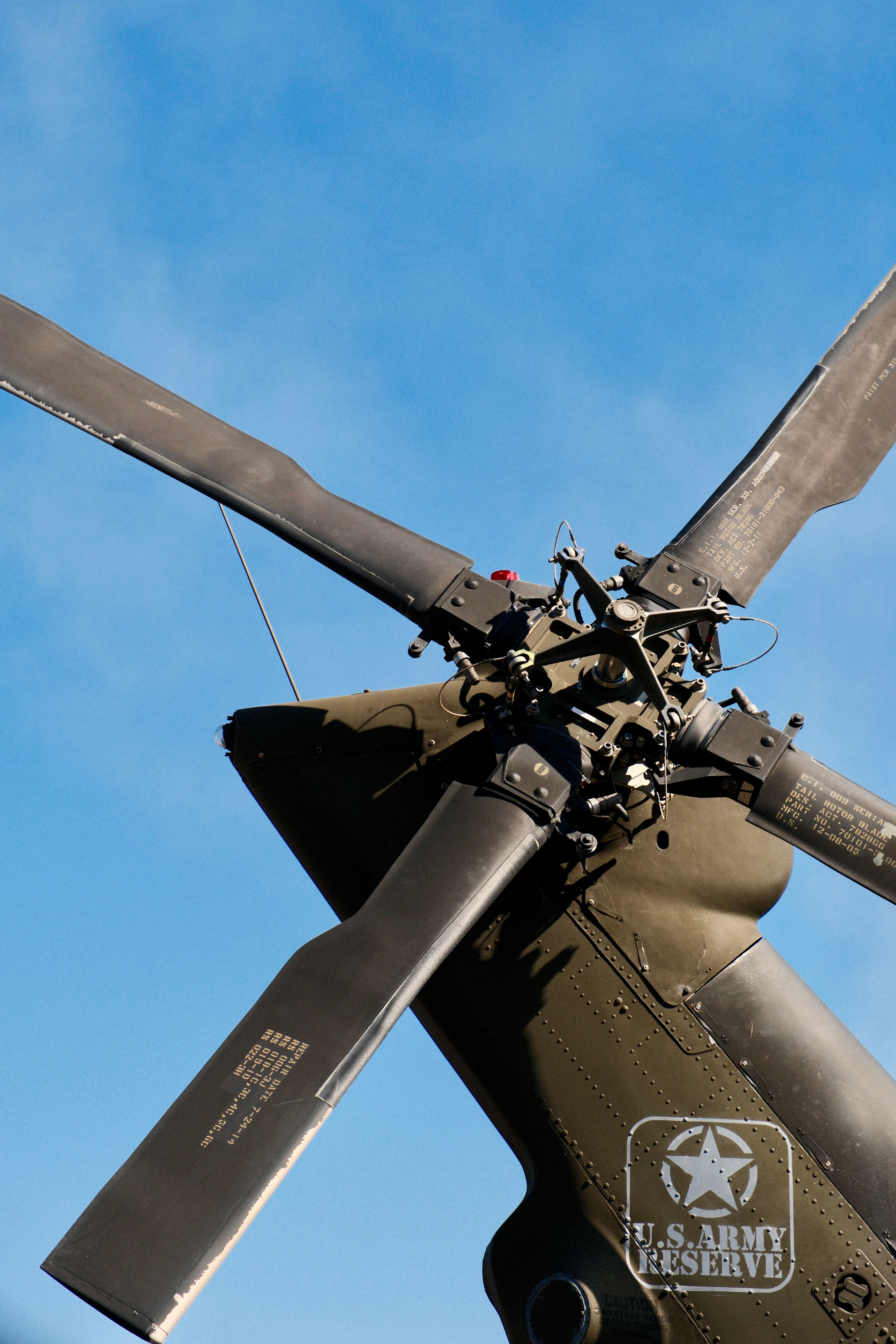 7.000+ Chinook Bilder und Fotos · Kostenlos Downloaden · Pexels Stock-Fotos