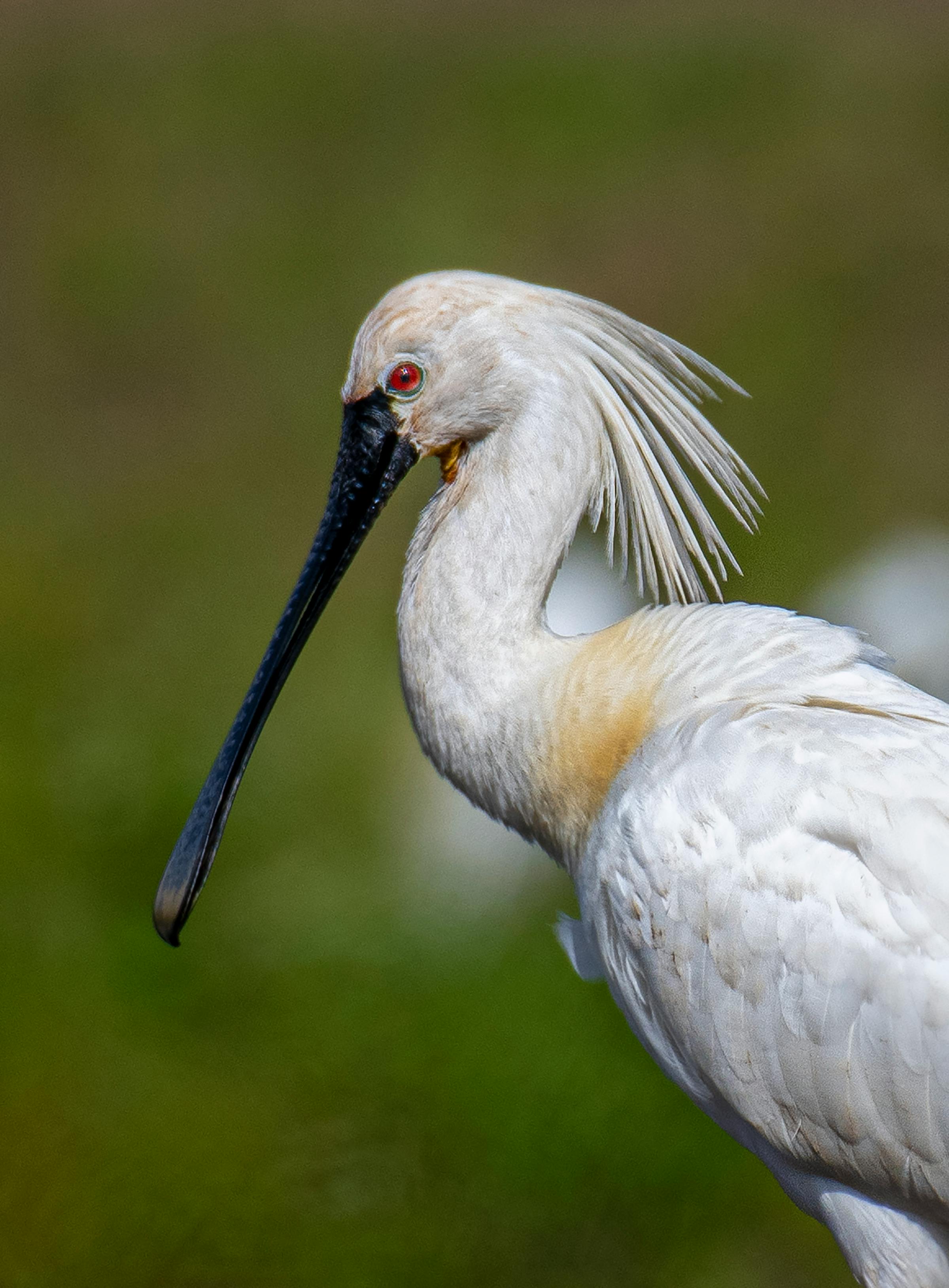 Tuff+Profile+Pics Photos, Download The BEST Free Tuff+Profile+Pics ...